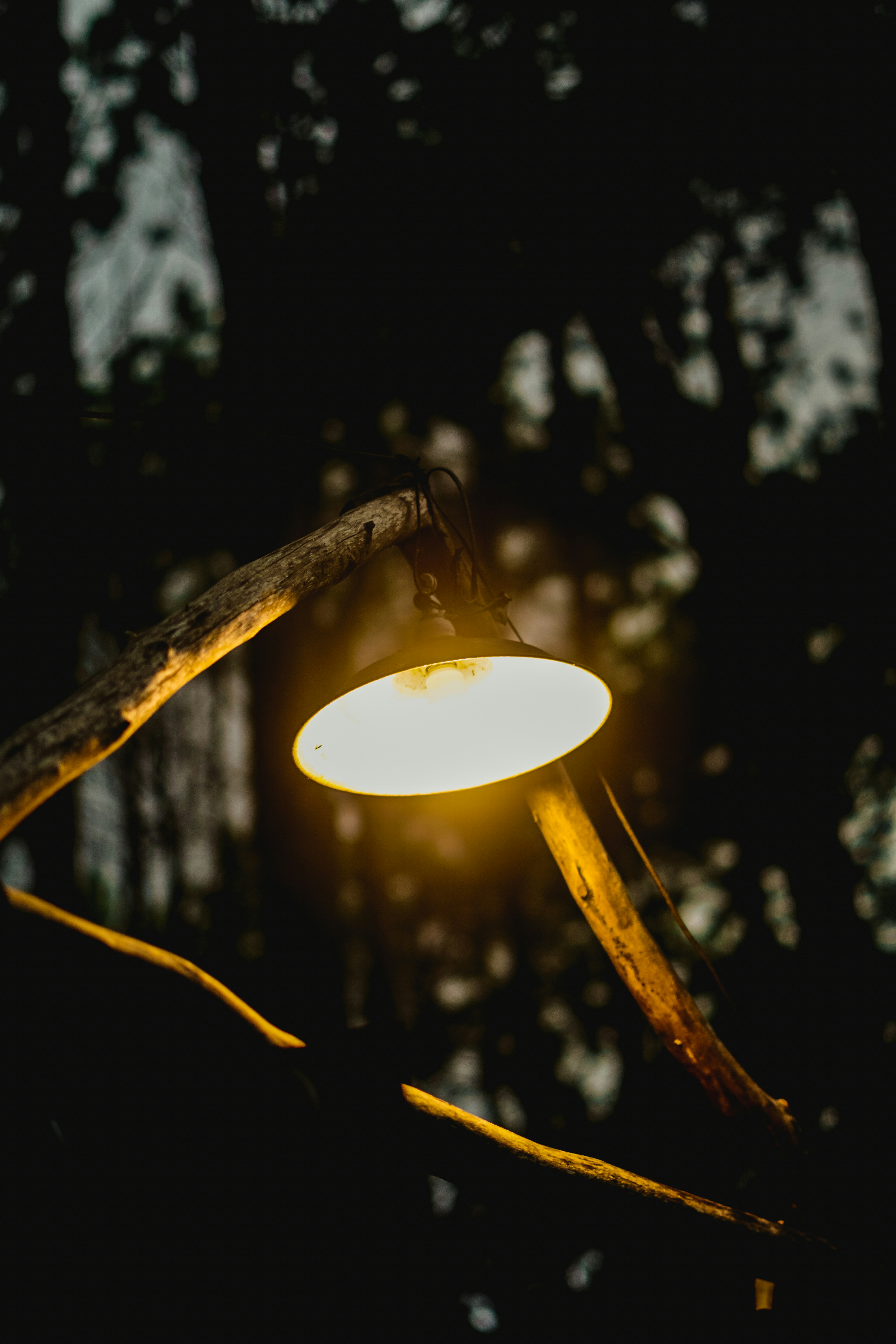 Best 500+ Bright Light Pictures | Download Free Images on Unsplash