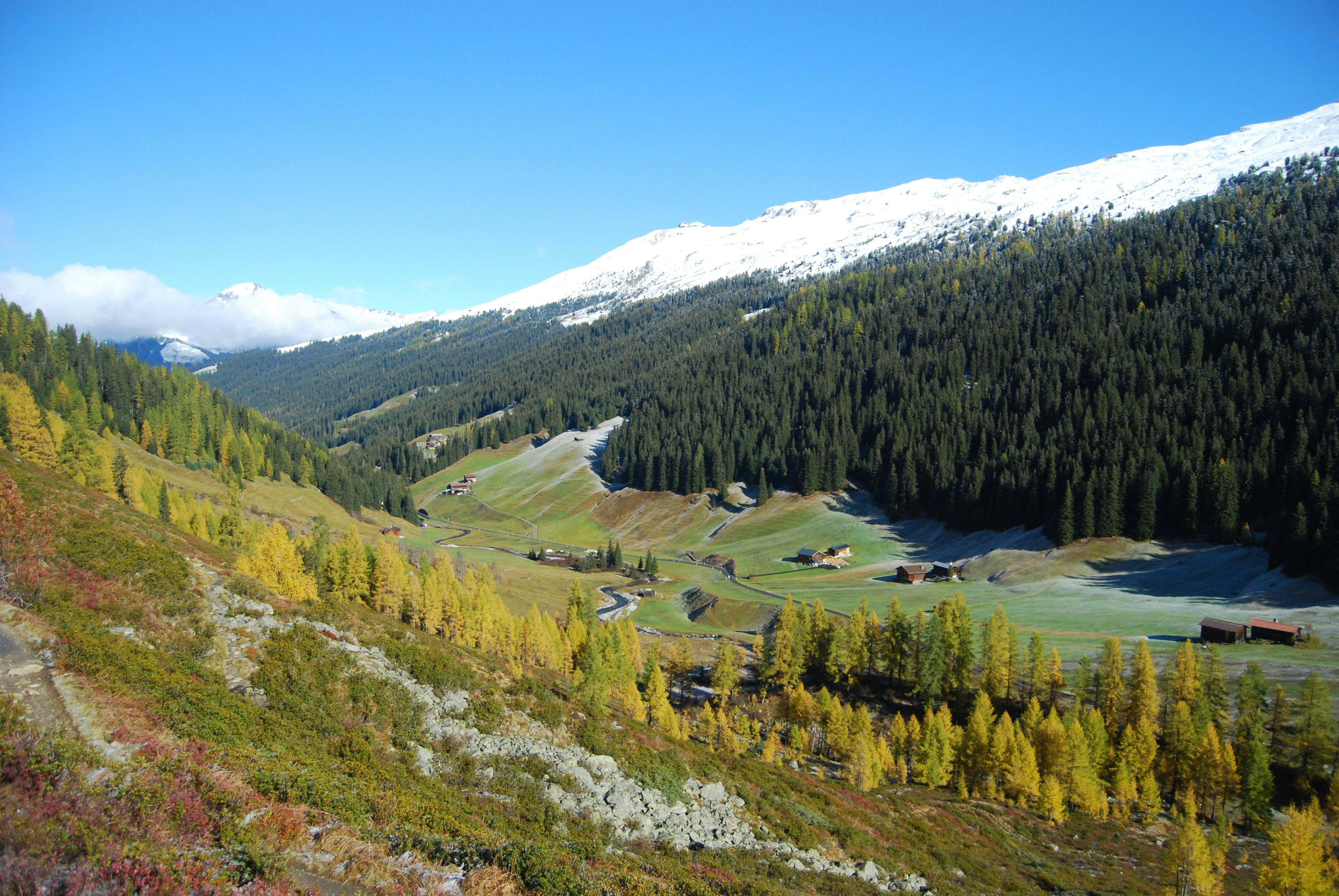 A scenic view of a valley with a mountain in the background photo ...