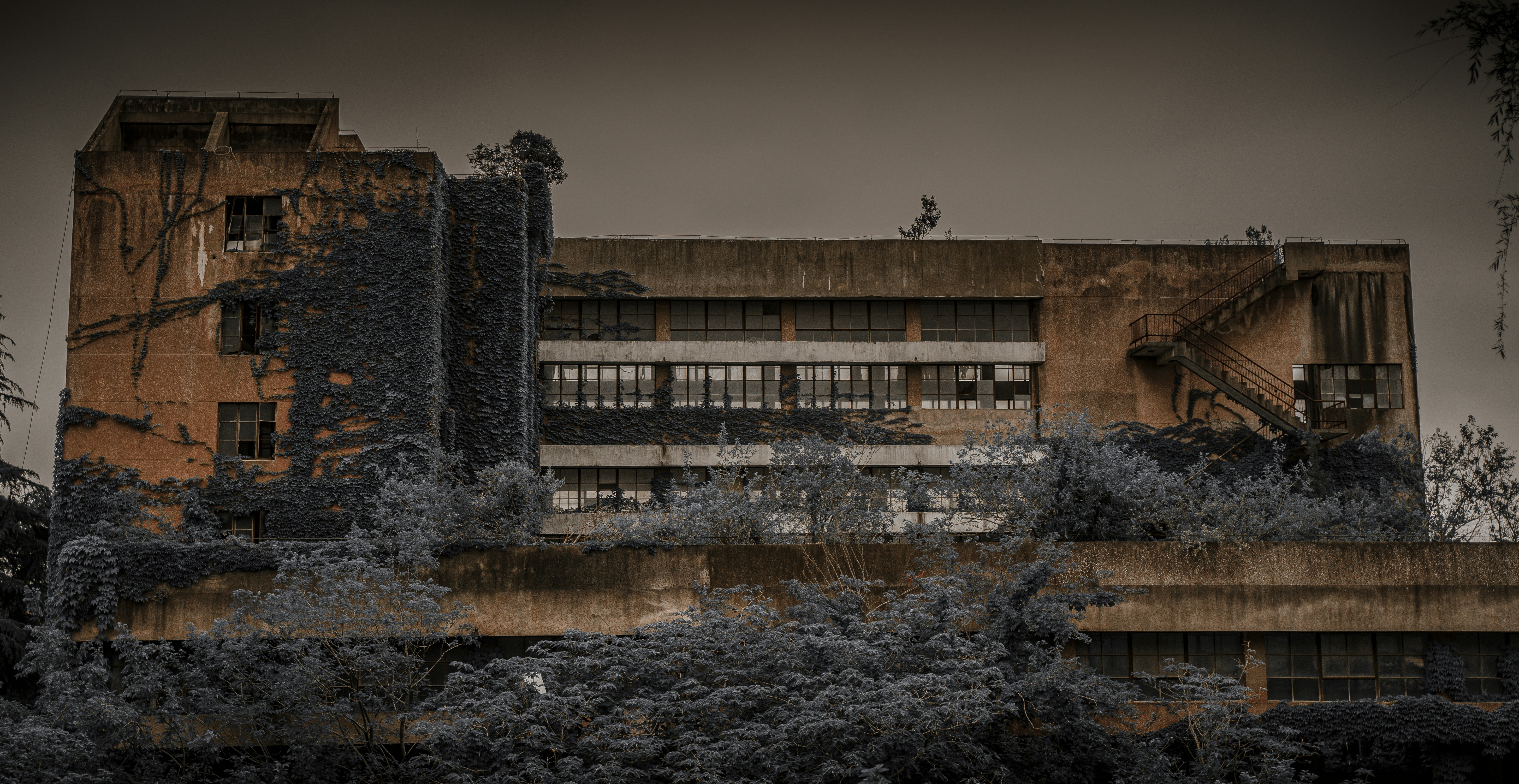 A very old building with a bunch of trees in front of it photo – Free ...