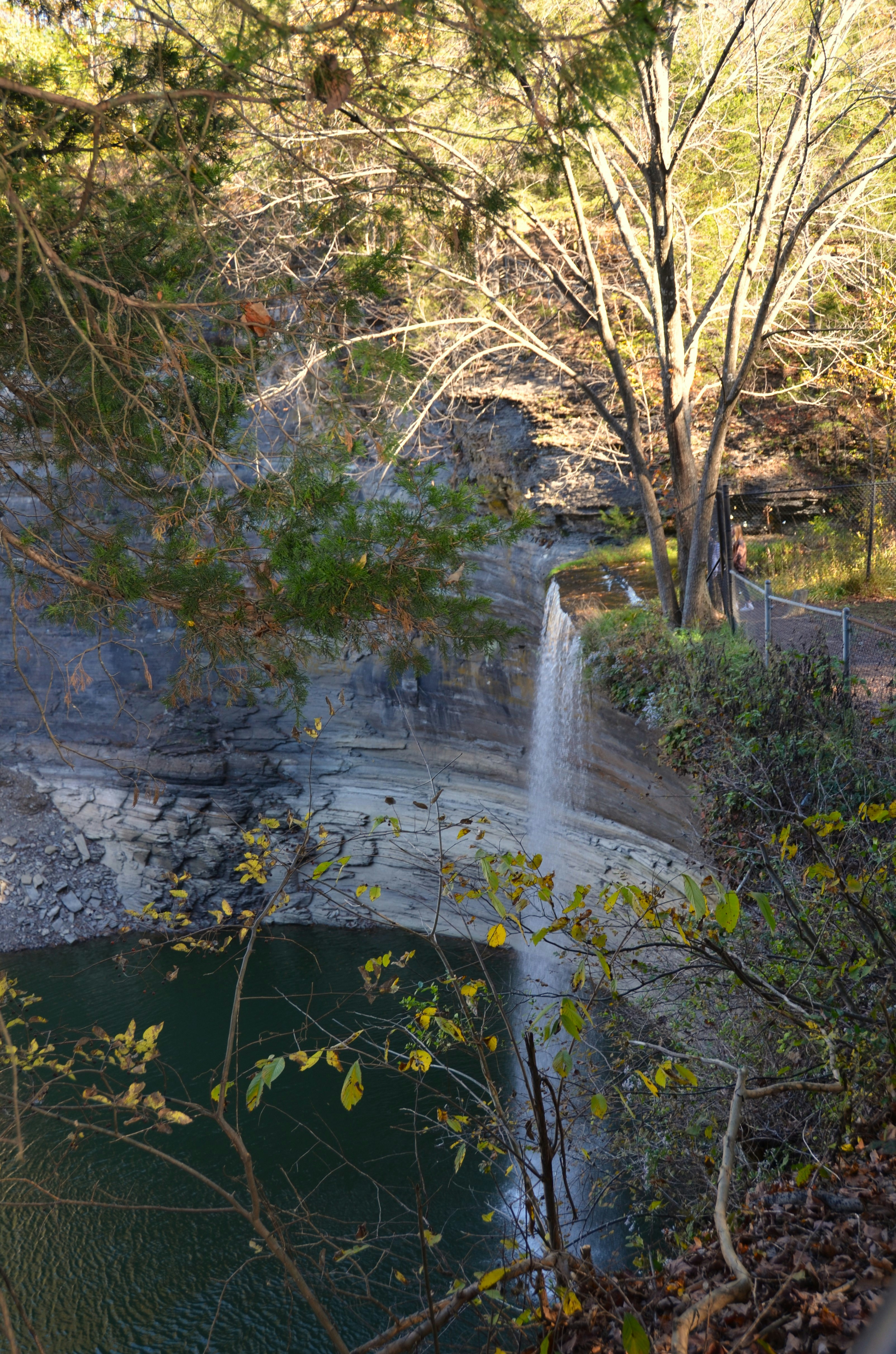 Cascade at the Edge: a slender waterfall feeding a pool beneath autumn trees