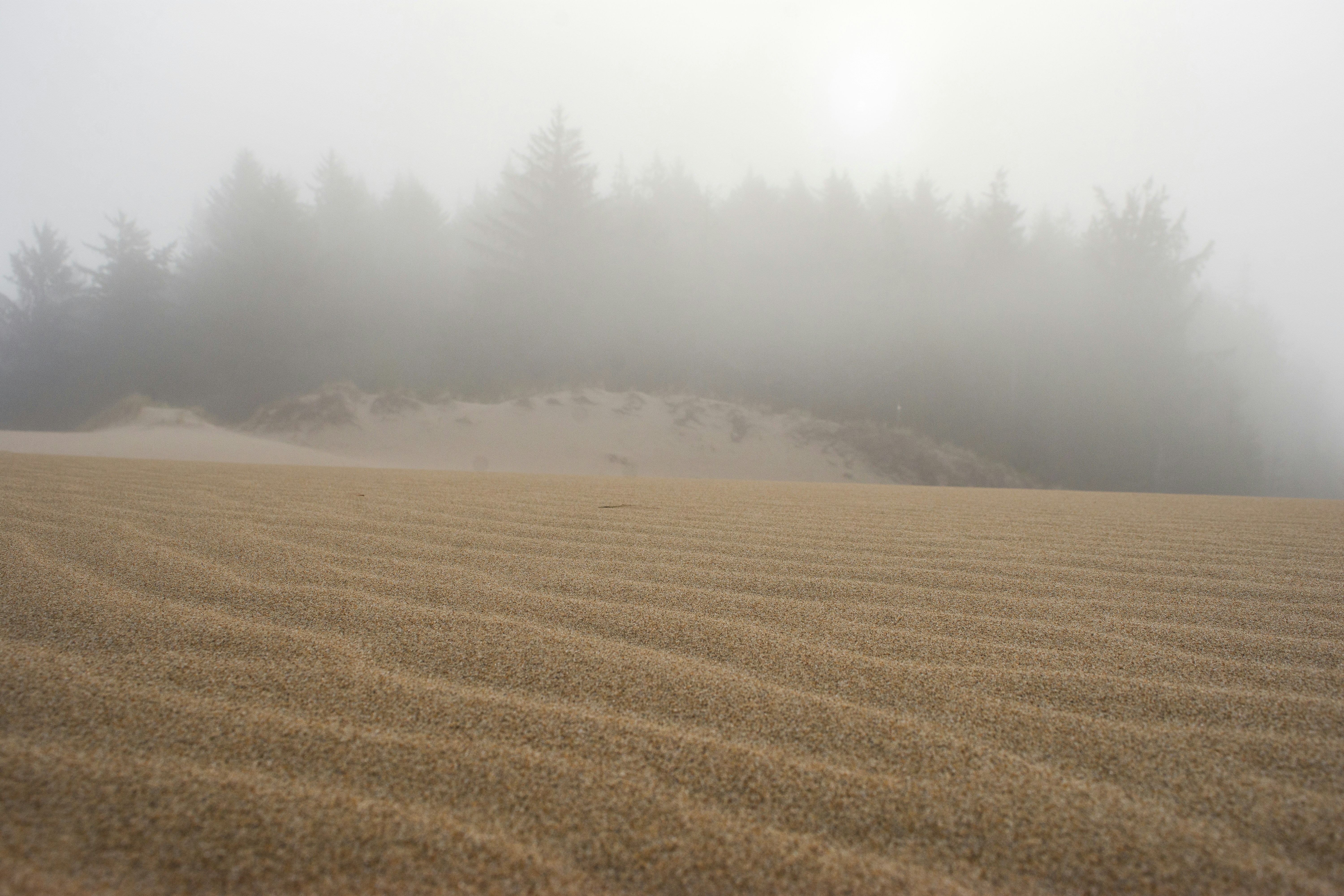 A truly unique liminal space can be found in the early morning, foggy hours on the Oregon sand dunes. You can hear the waves crashing from the ocean. You can see the silhouettes of the jungly pine forest. But you can't really make your way in the dense fog.