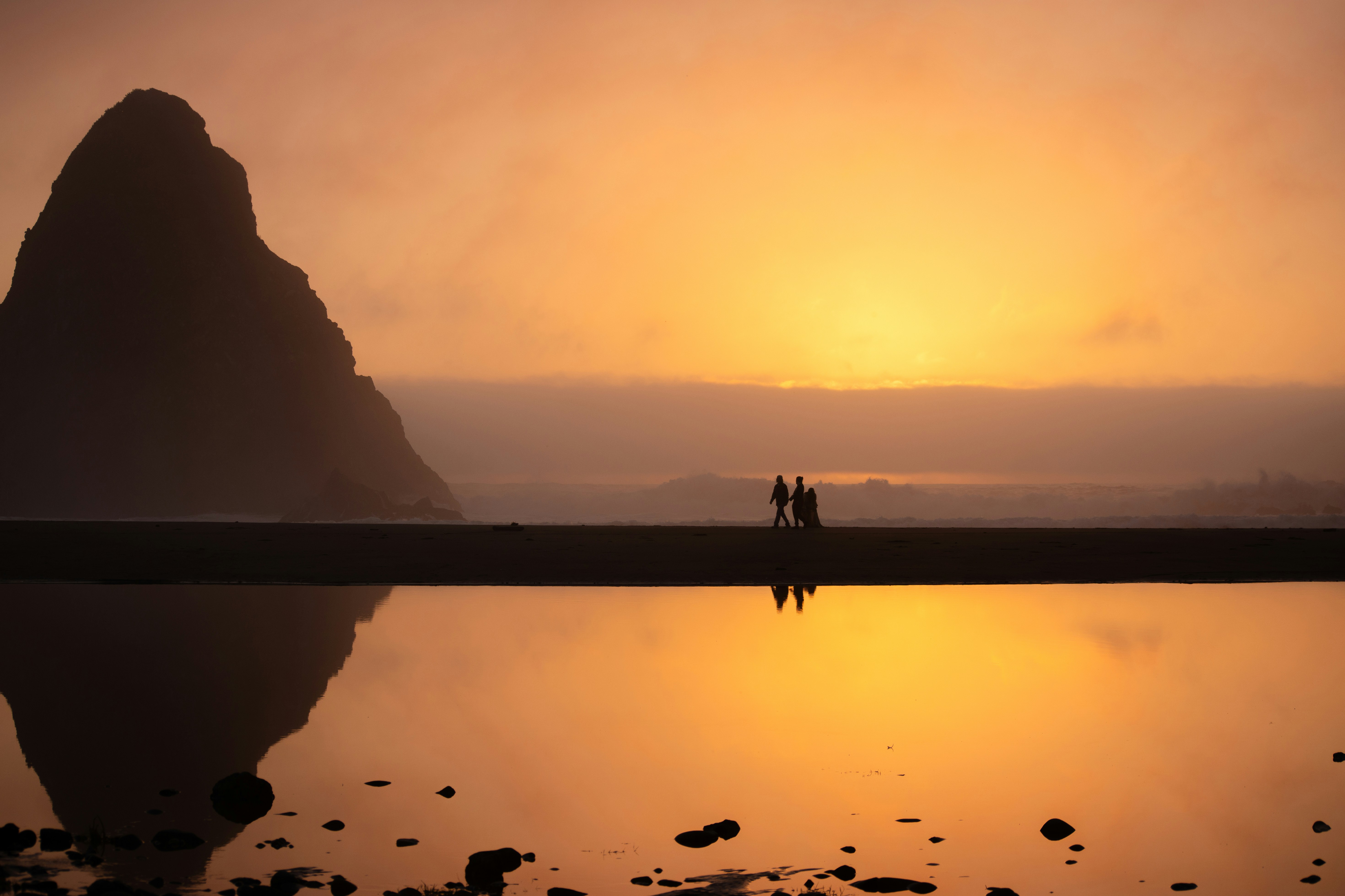 Silhouettes at Sunset's Edge