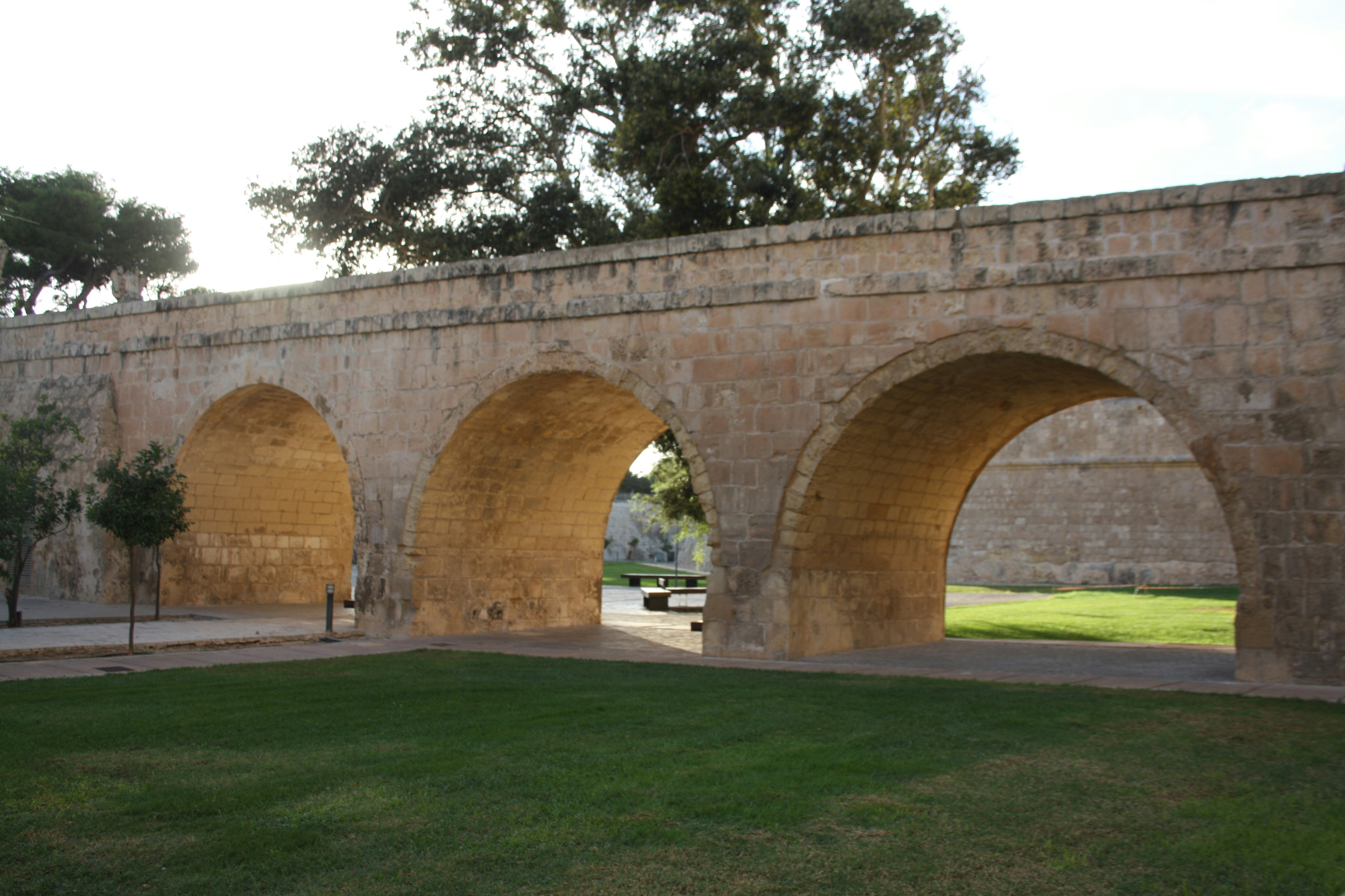 Photo by Niamh Heggarty with Canon EOS 450D