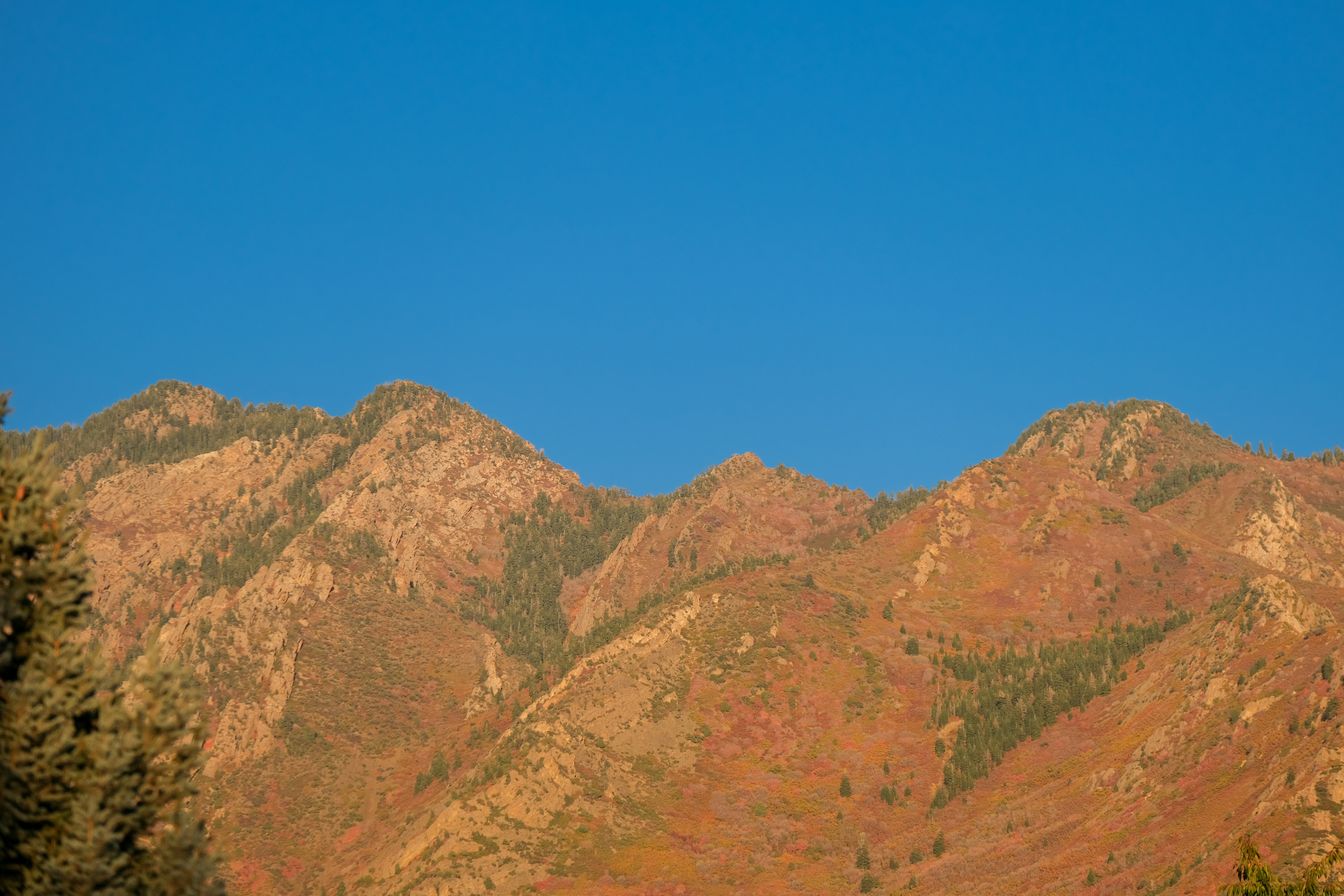 Crimson Ridge Under a Sharp Blue Sky