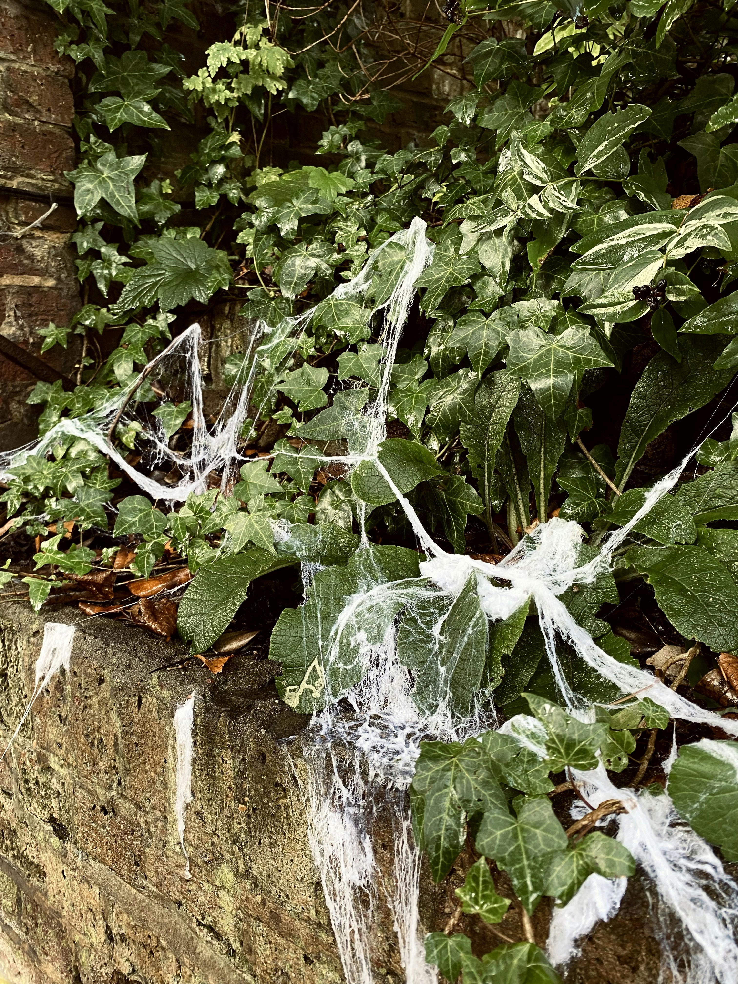 A fire hydrant covered in ice next to a brick wall photo – Free Ivy ...