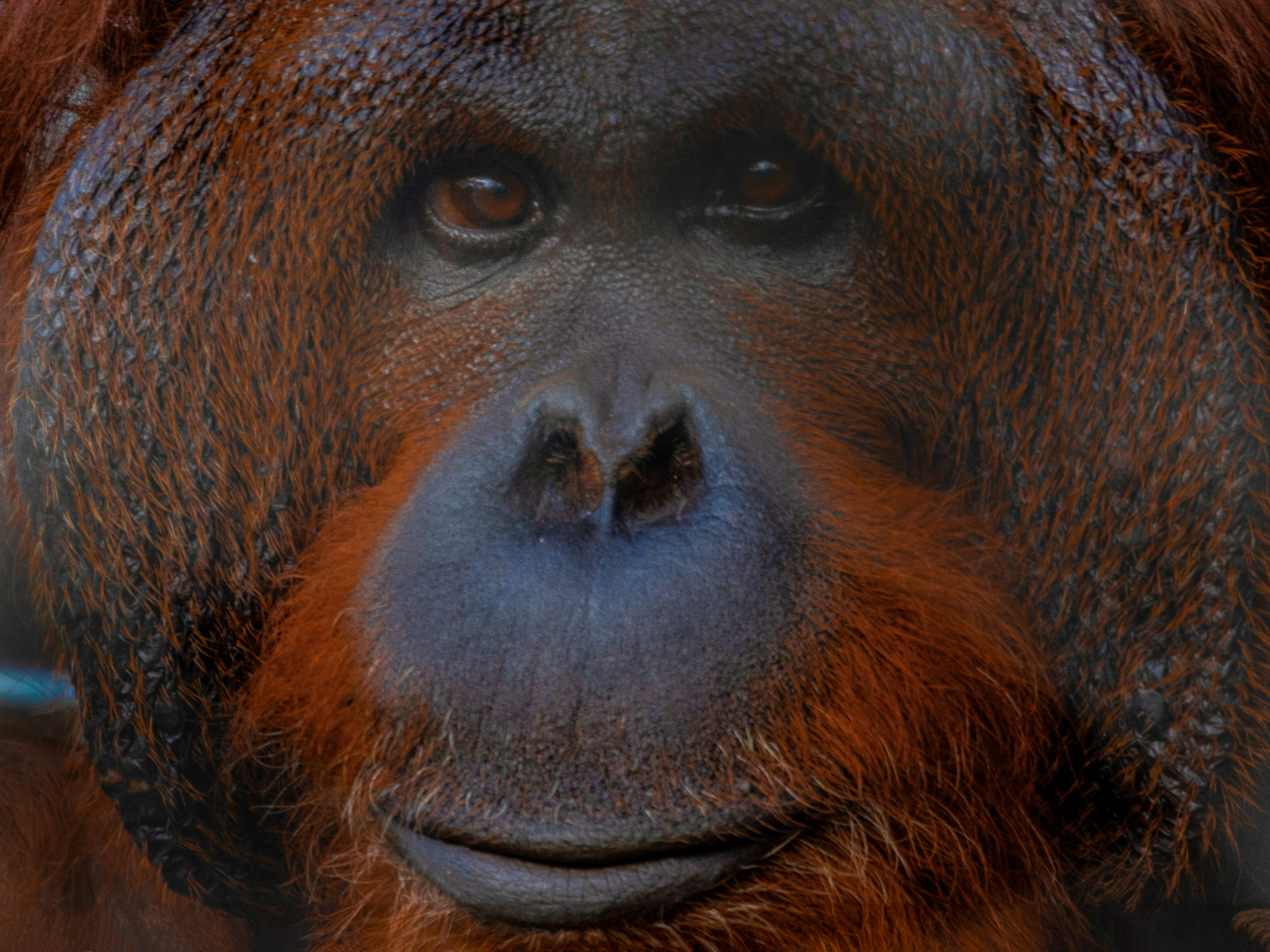 Photo by Idean Azad with Olympus OM-D E-M10 Mark IV