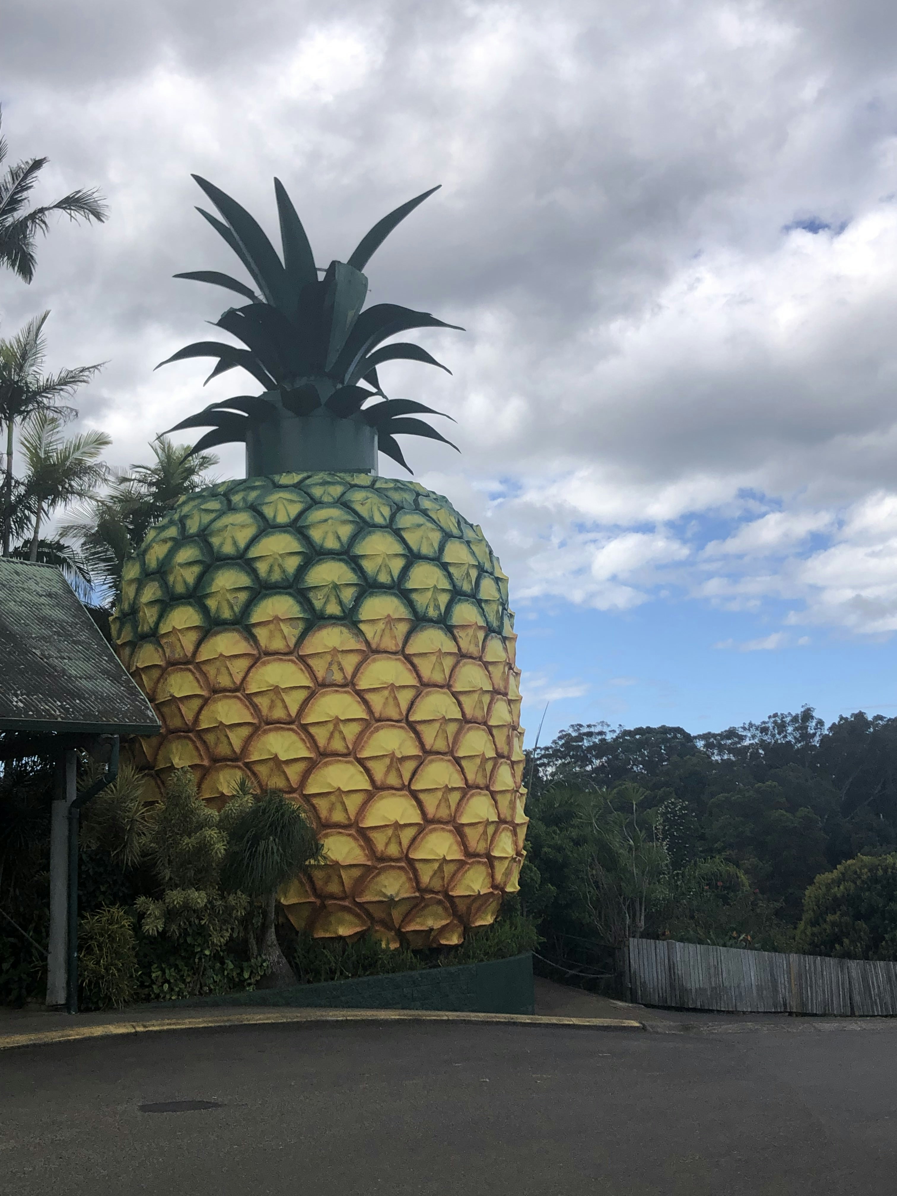 A large yellow and green pineapple shaped building photo – Free Nambour ...