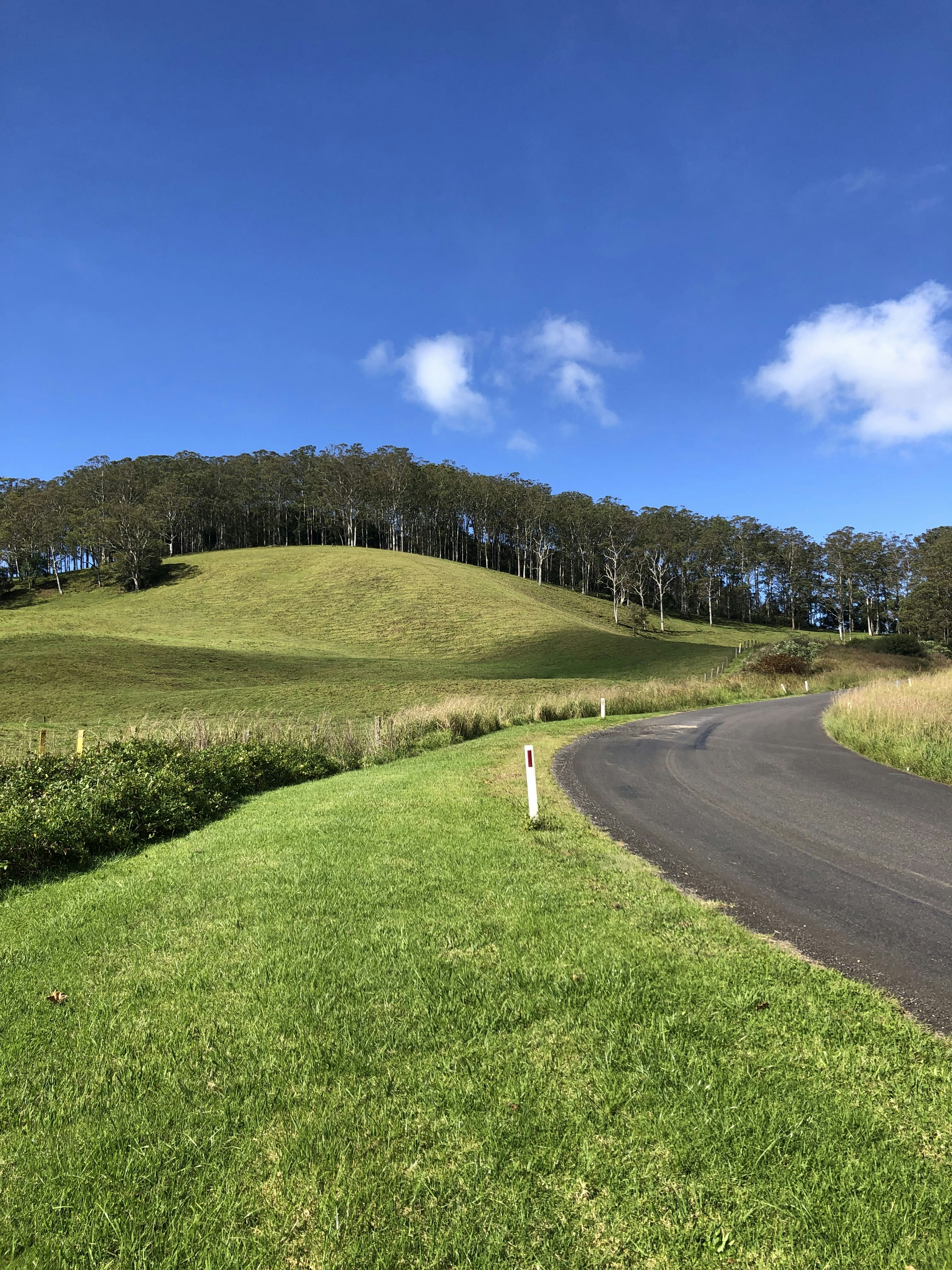 The Crestbound Curve: Road to the Tree-Line