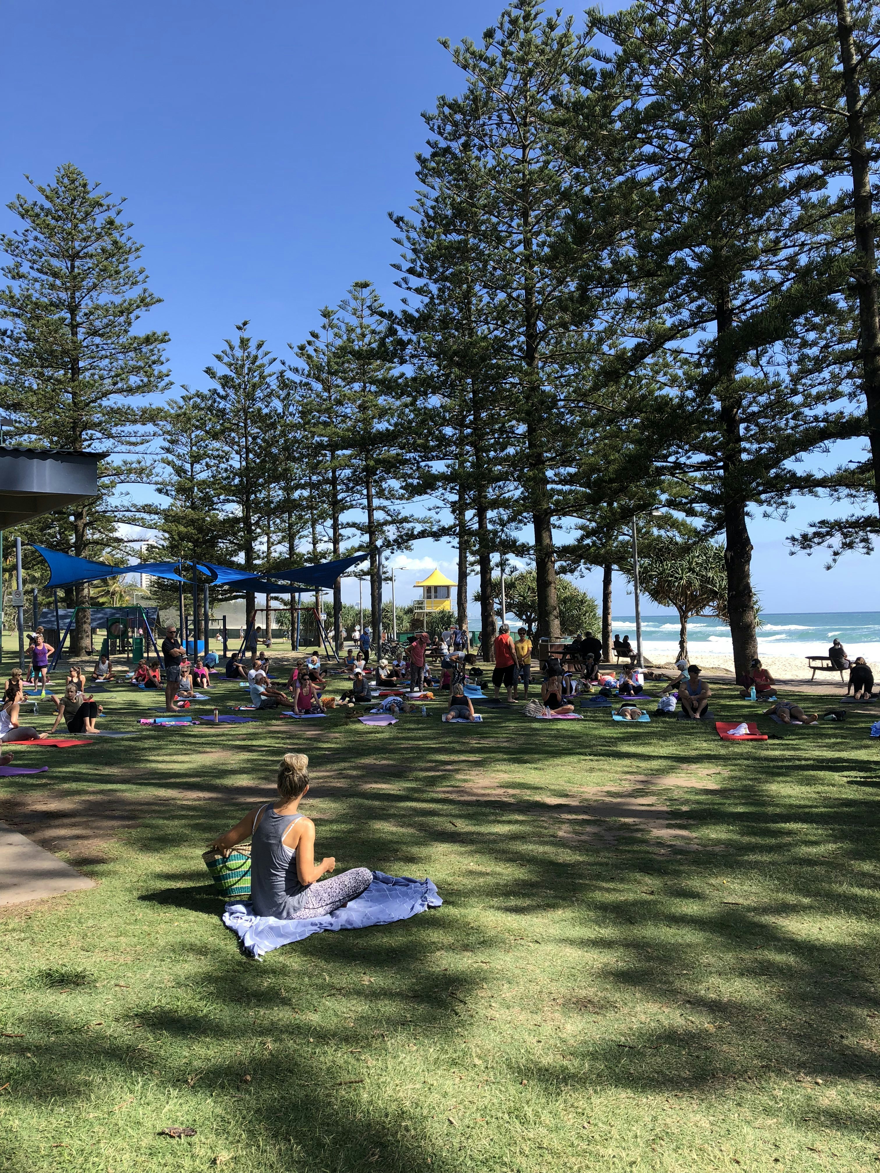 Coastal Park Yoga: Sunlit Mats Under Pines, Ocean Breeze