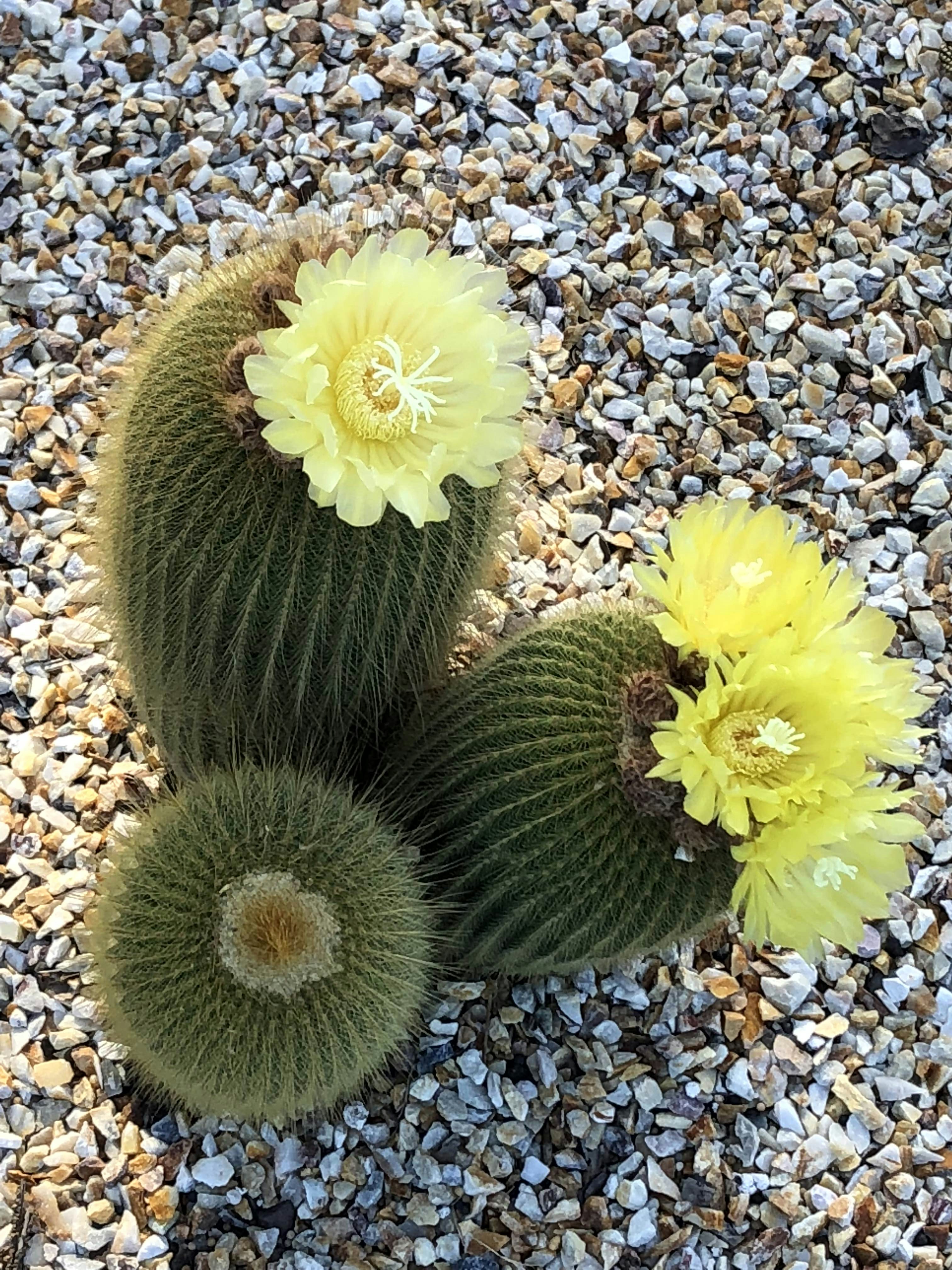 Photo by Martina Jorden with Apple iPhone 8