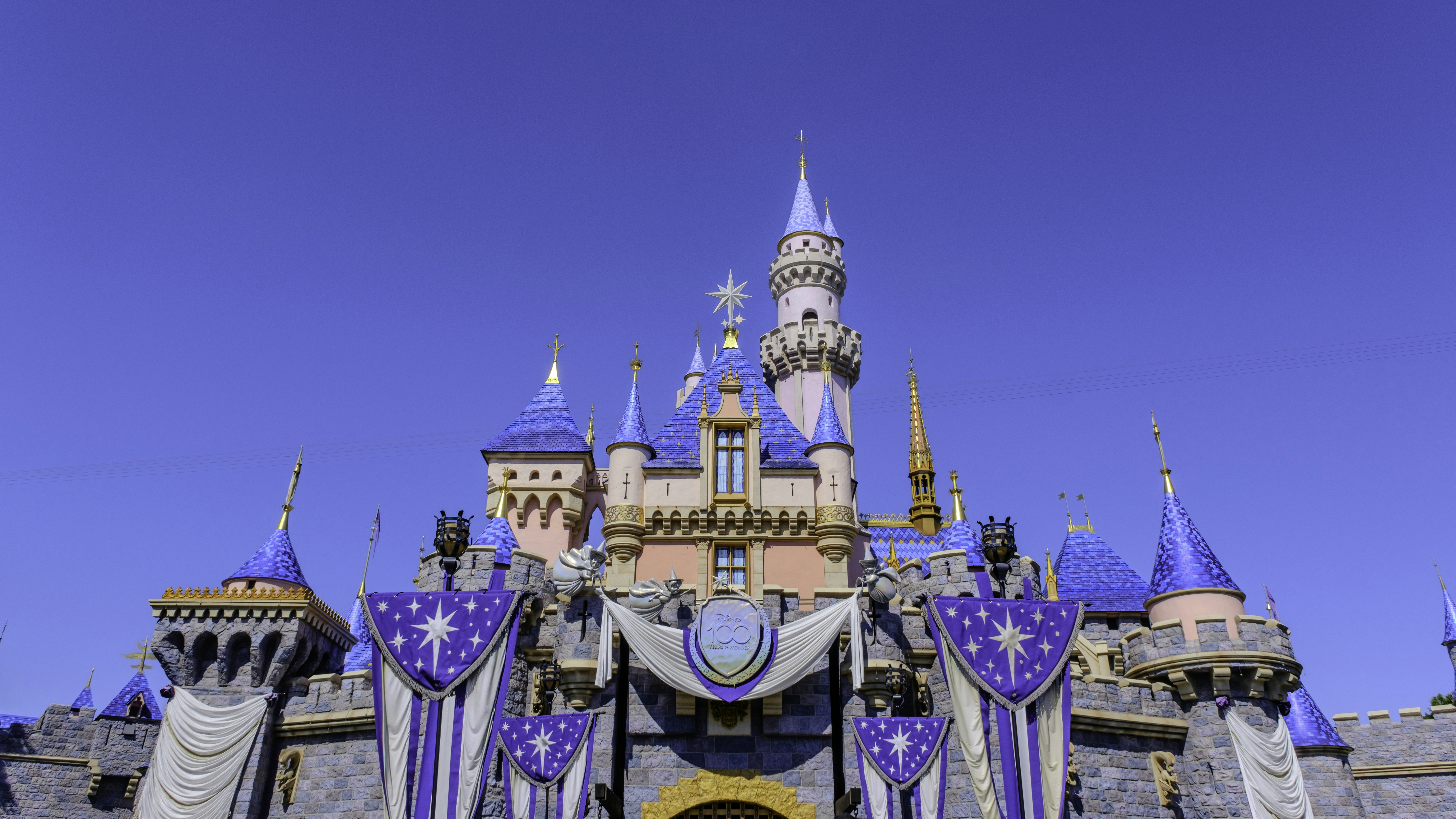 100th Anniversary Sleeping Beauty Castle Decorations, Disneyland | a castle with purple and blue decorations on it