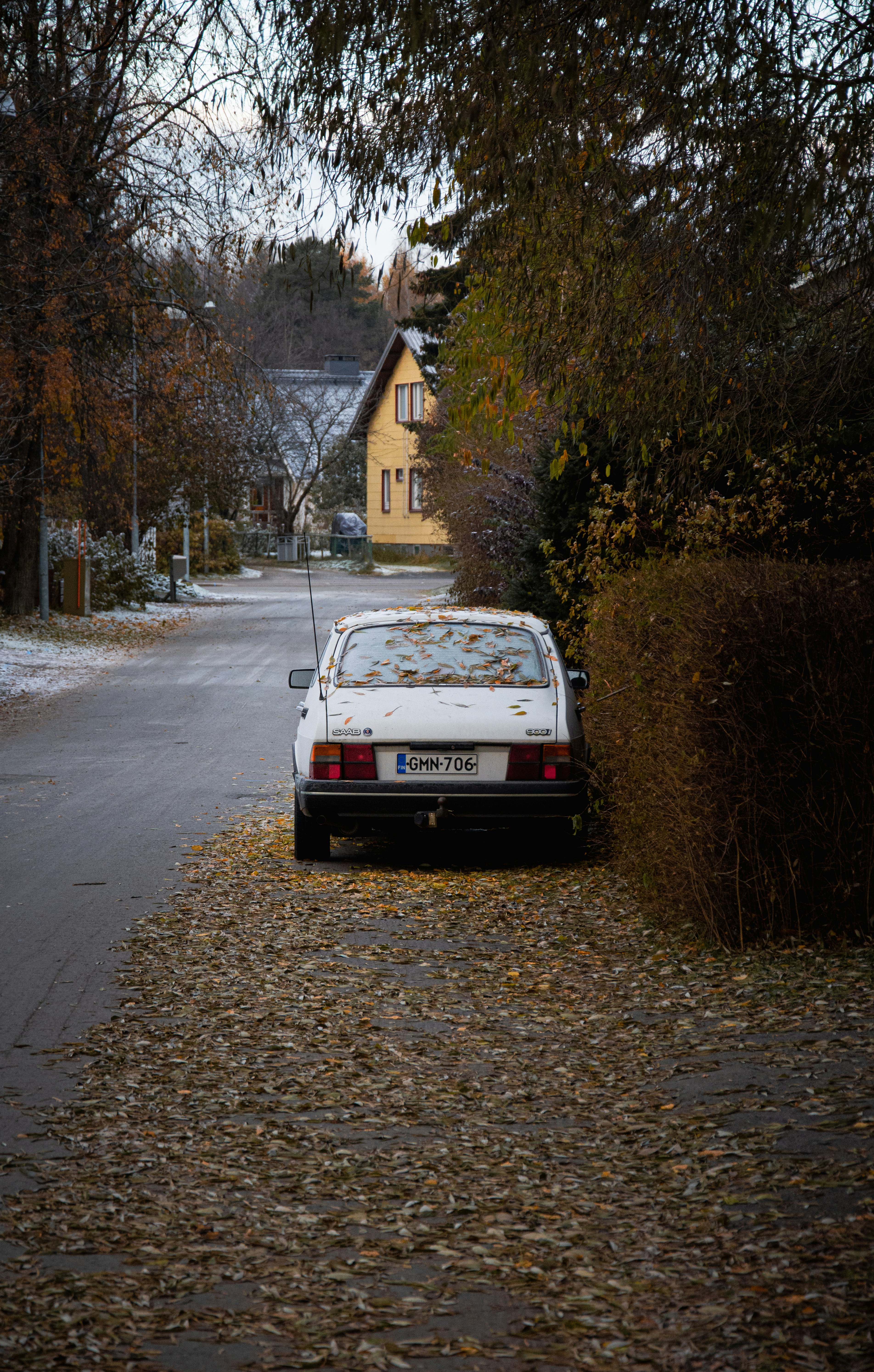 Winter Lane Reverie: a white sedan resting under a canopy of autumn leaves