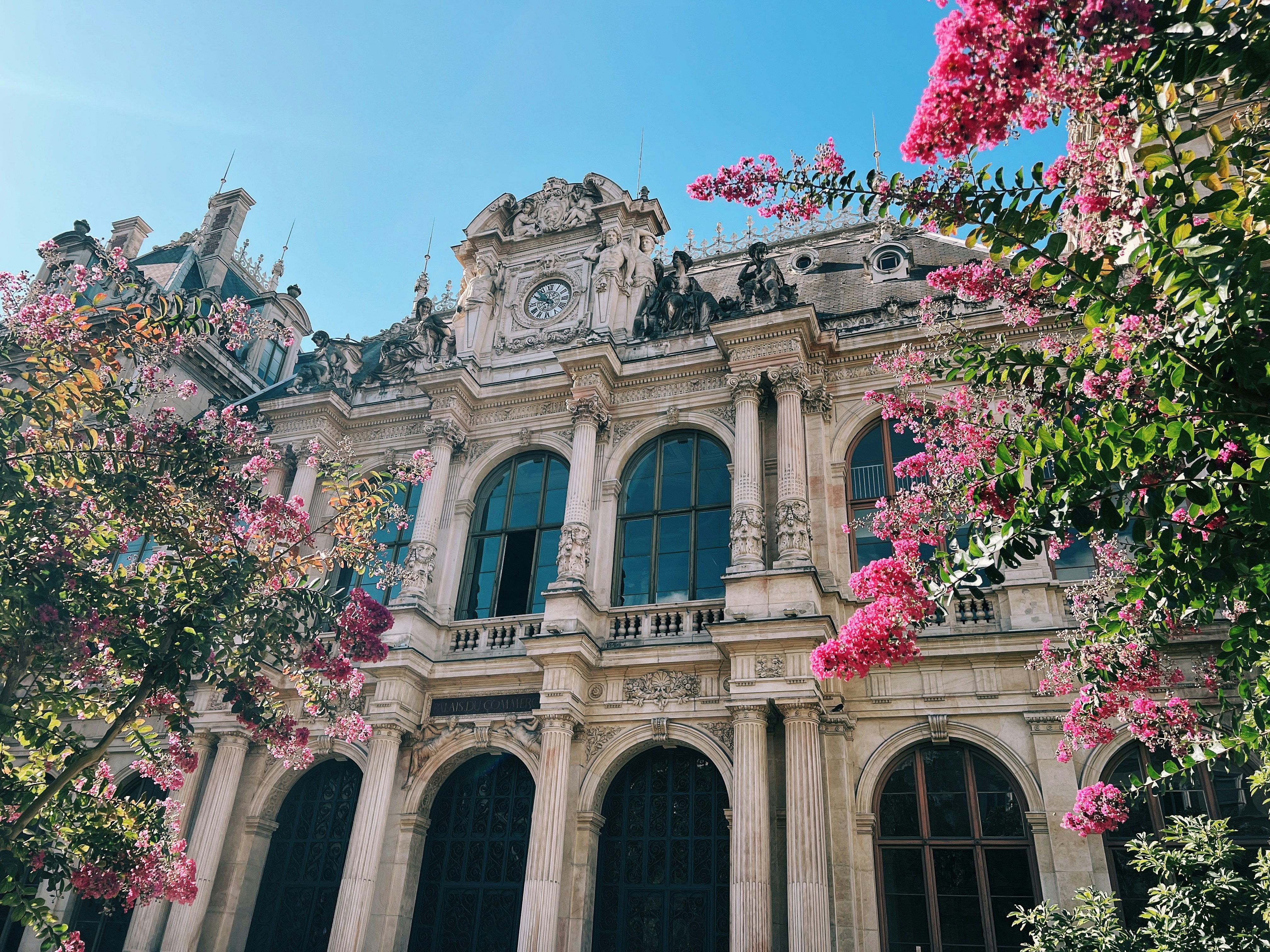 Symmetry in Stone: Baroque Facade Framed by Spring Pink Blossoms