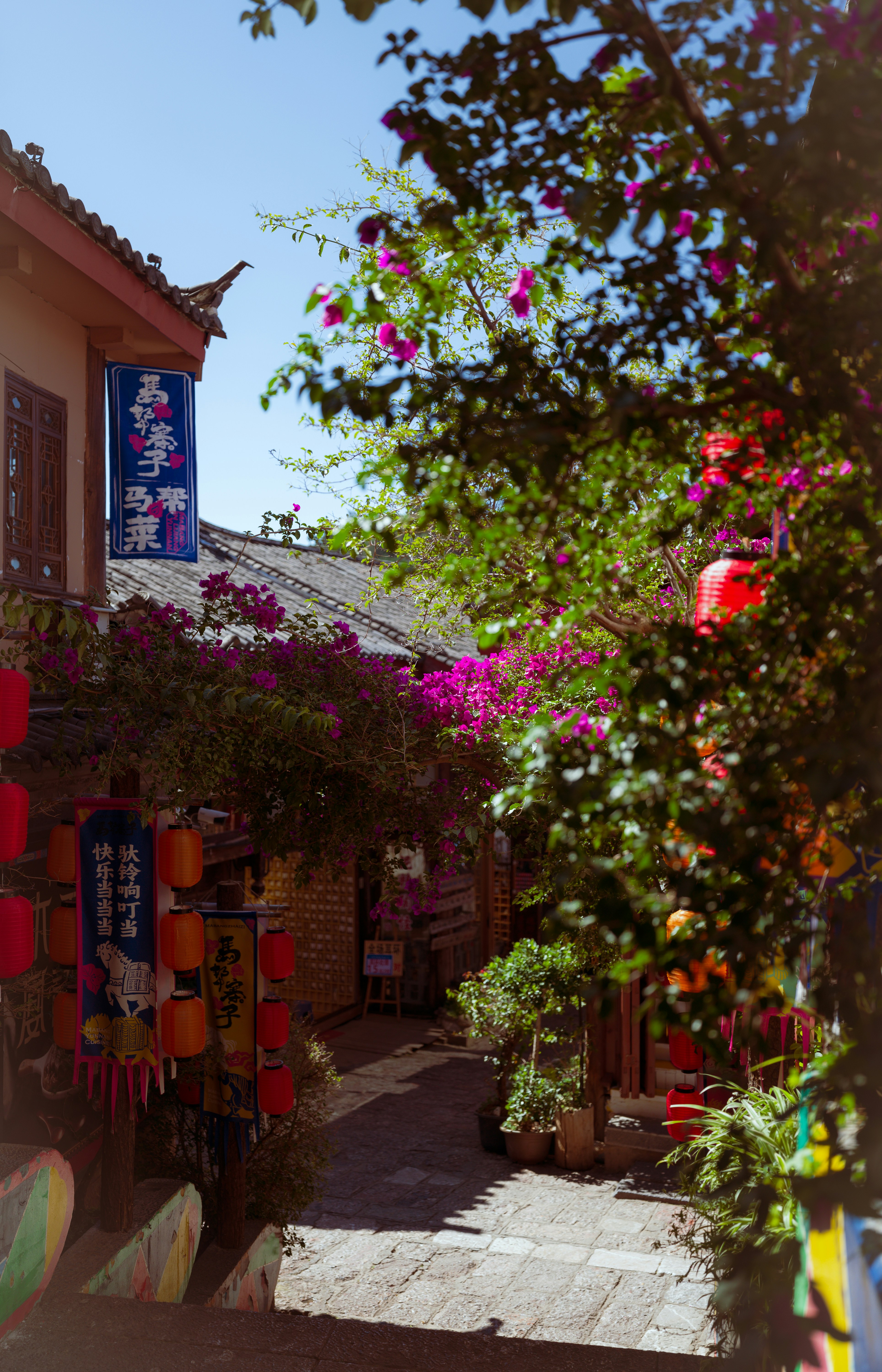 Colorful street scene in a traditional alley with hanging lanterns, flowering vines, and a sunlit stone path.
