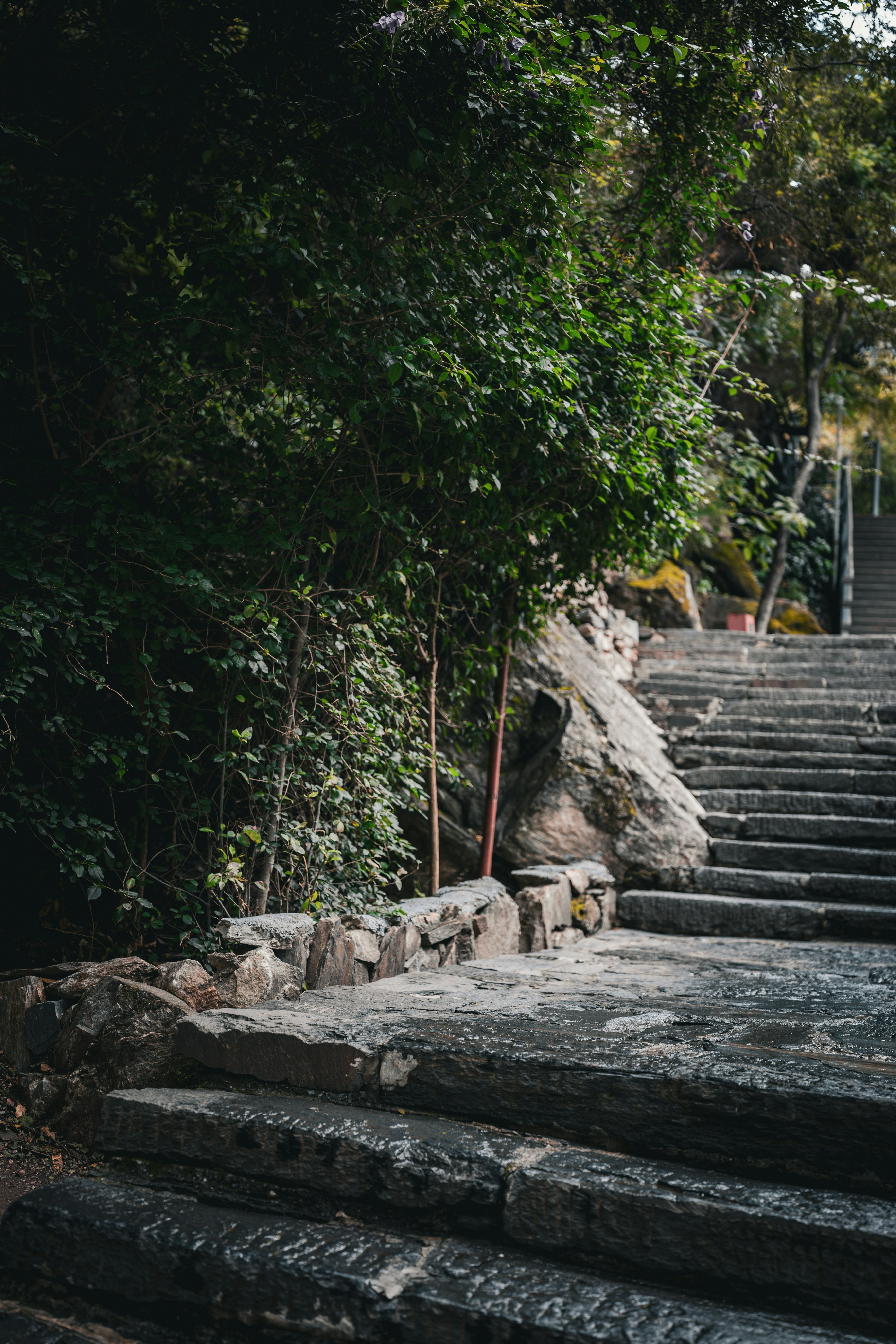 A bunch of steps that are next to some trees photo – Free China Image ...
