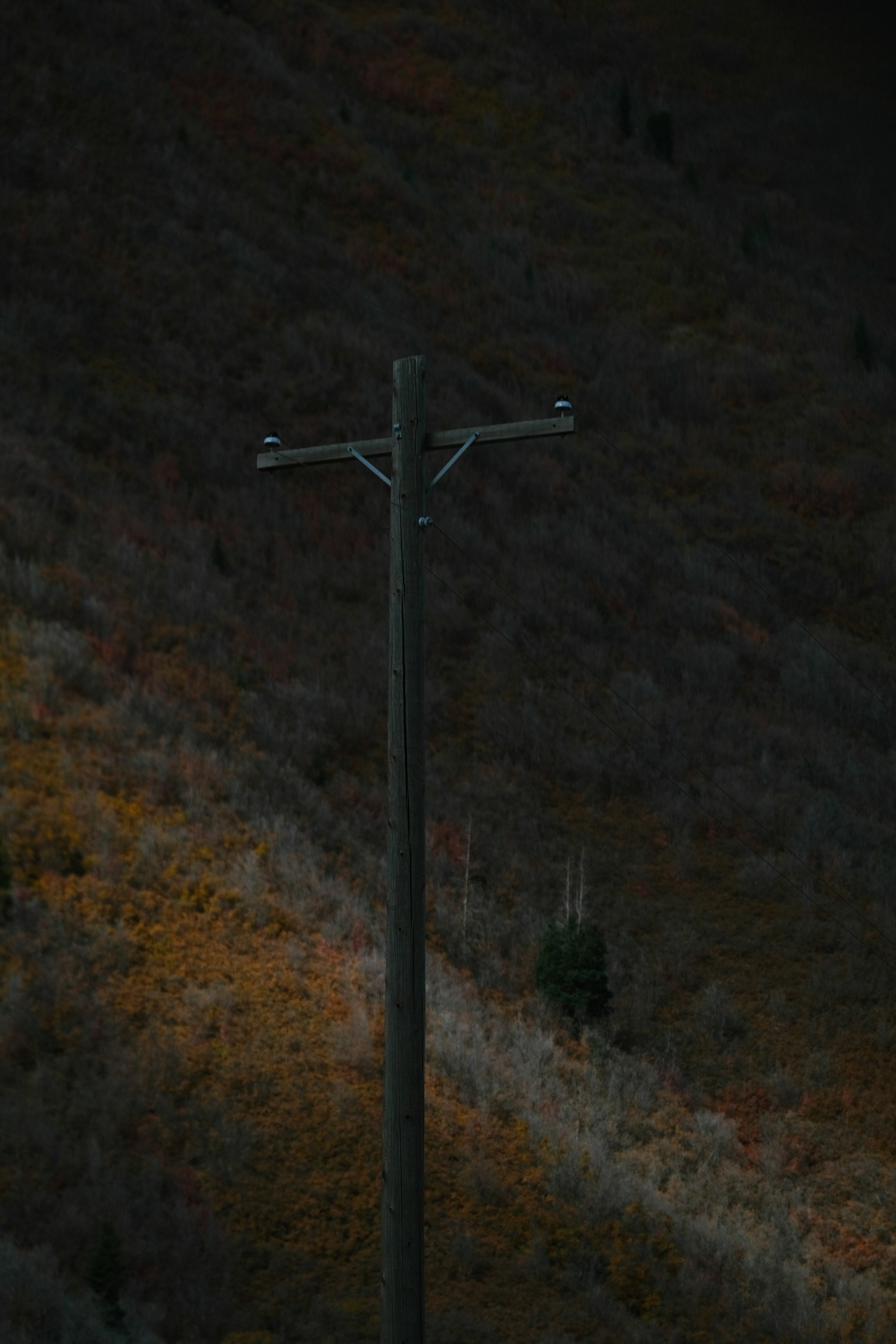 Lone Pole Rising Over a Dusk-Kissed Autumn Ridge