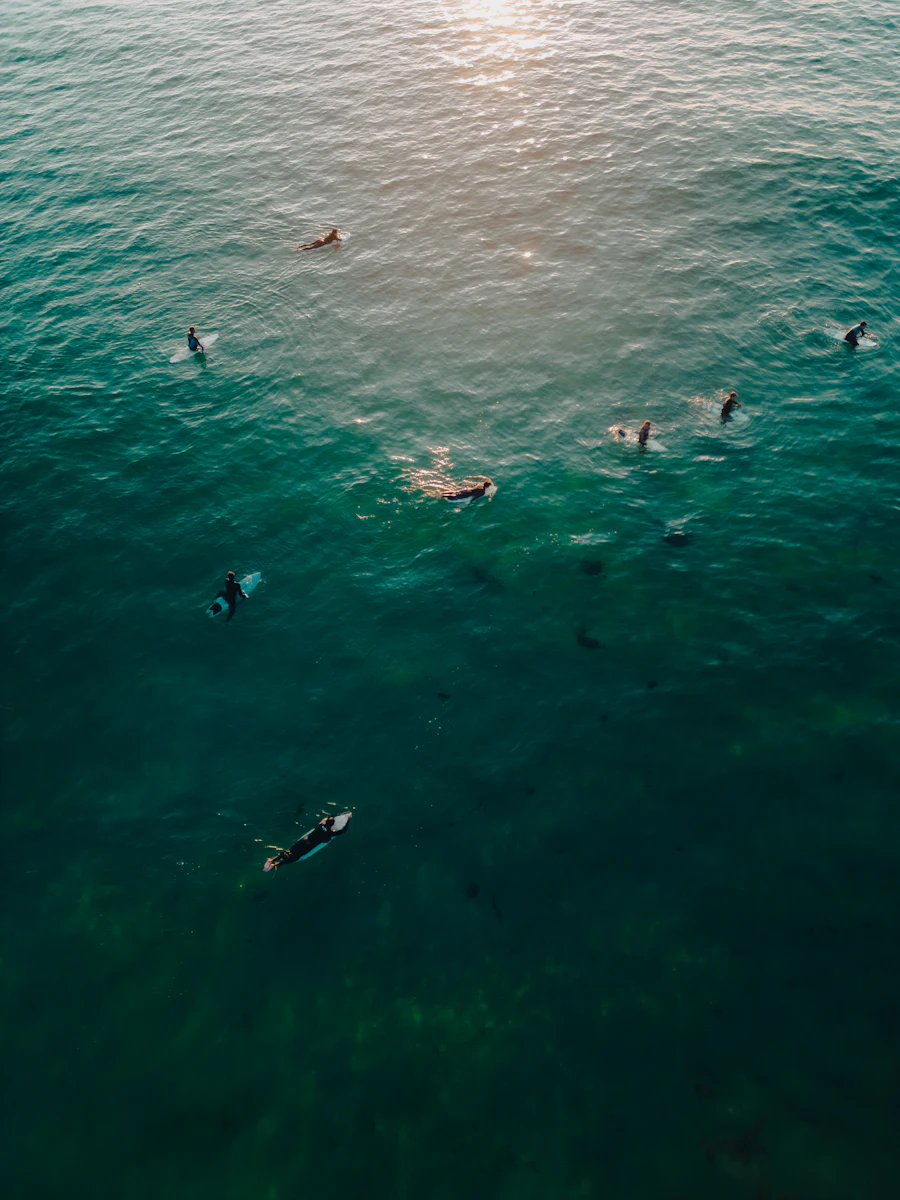 Surfers paddling and resting on calm teal ocean waters, seen from high above with sun glints on the surface.