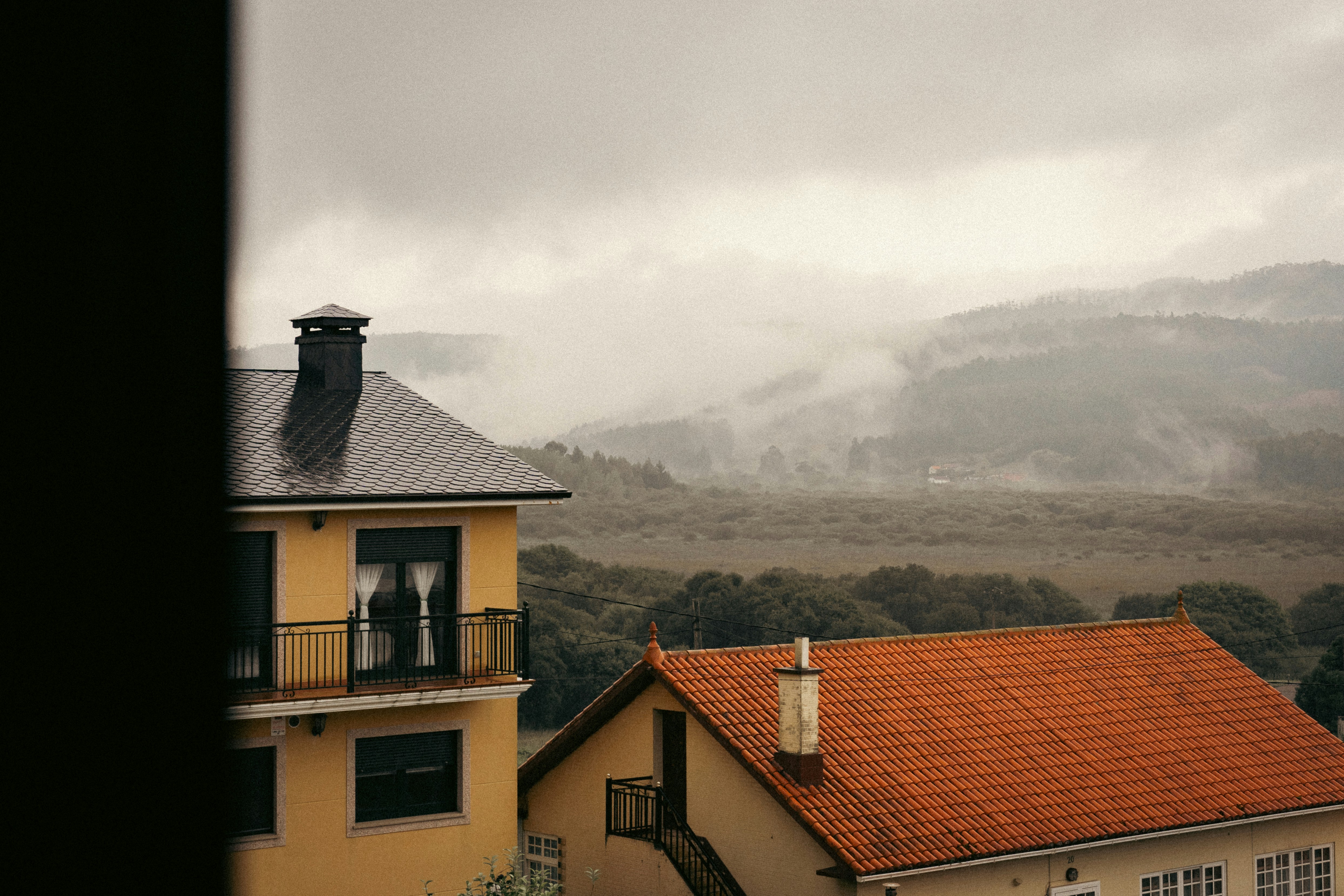 A misty, rainy morning in the hills of Pantín, Spain