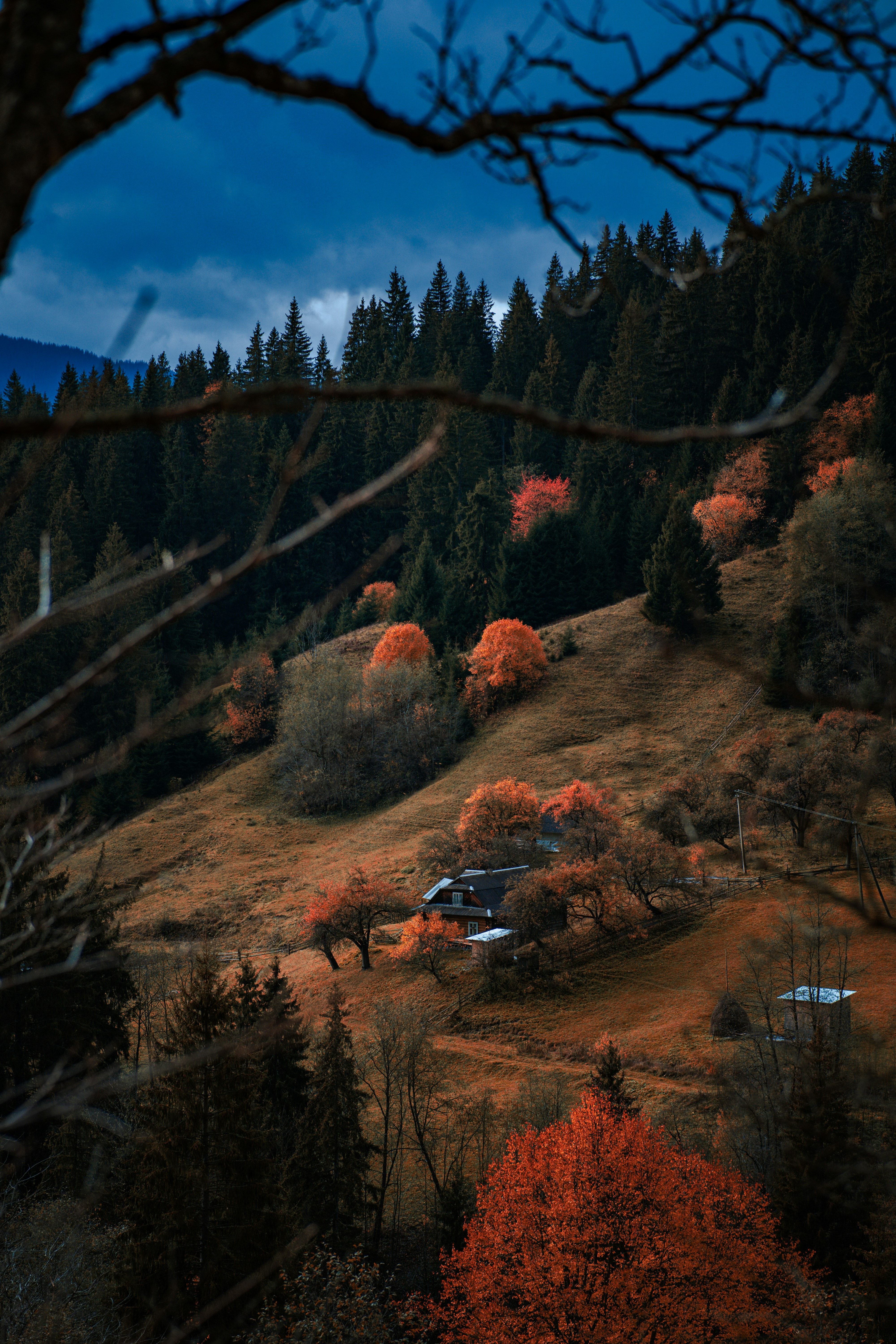 Ember Pines and a Secluded Cabin on a Mountain Slope