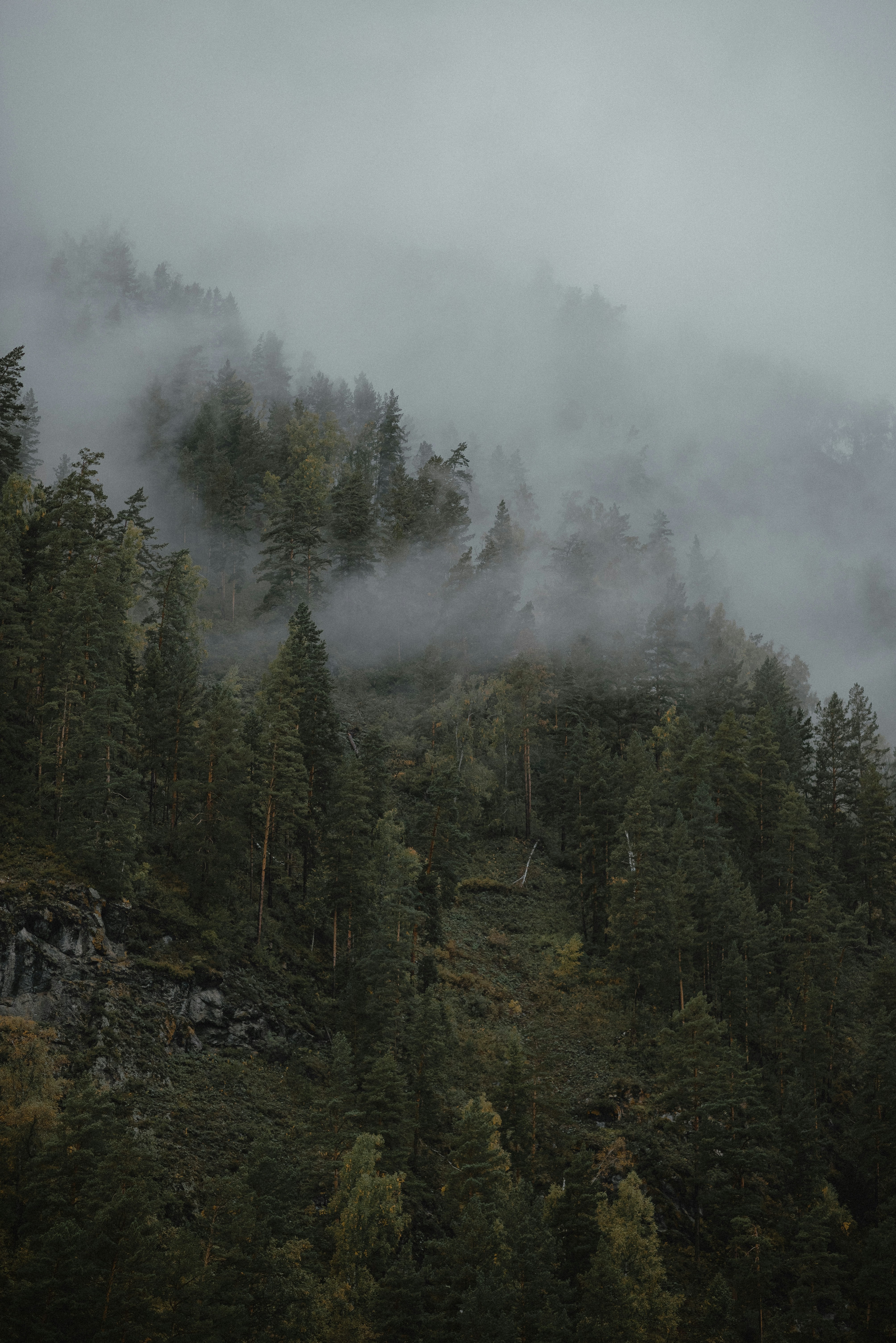 A mountain covered in fog and low lying trees photo – Free Nature Image ...