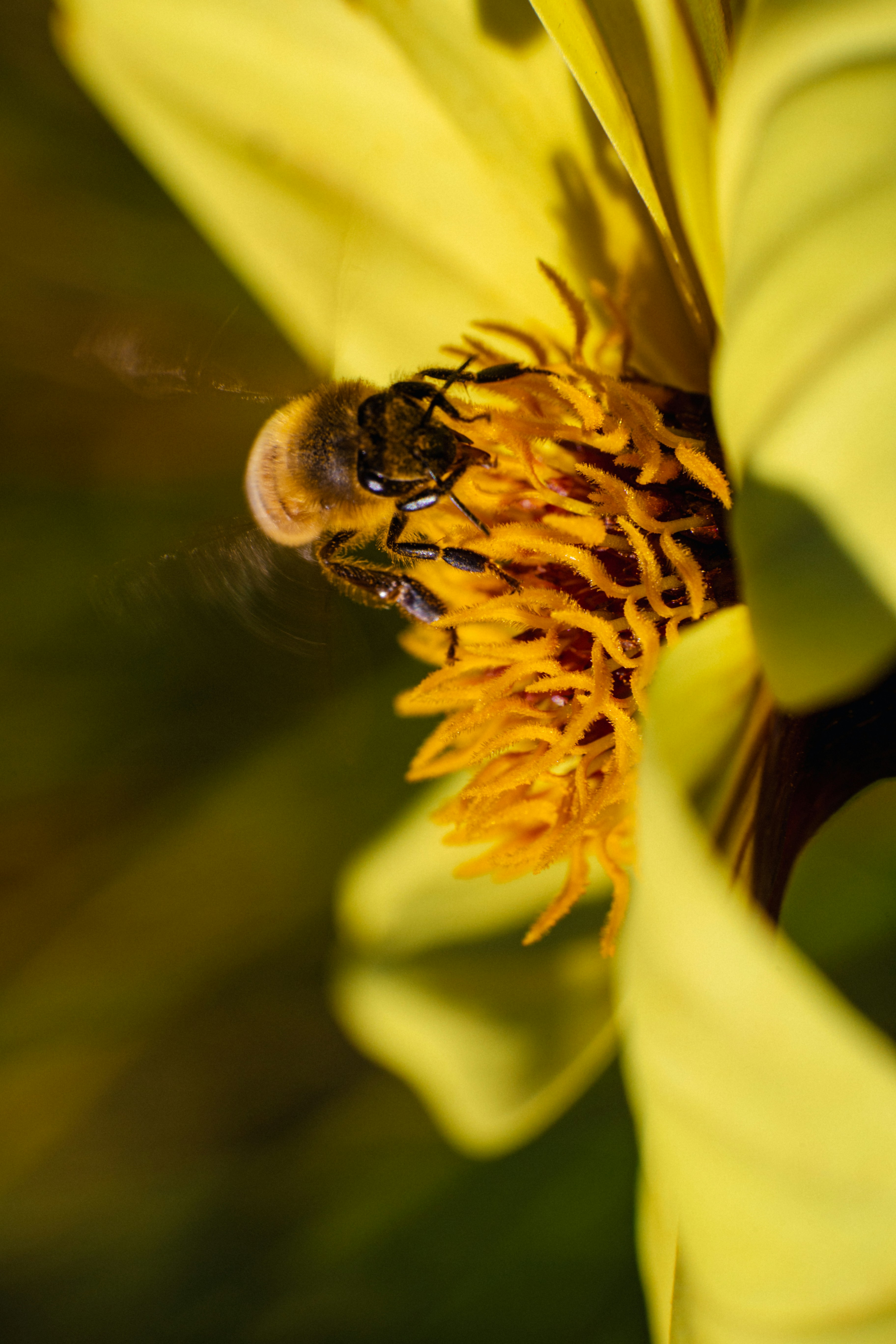 Photo by Jason Leung with Canon EOS R6