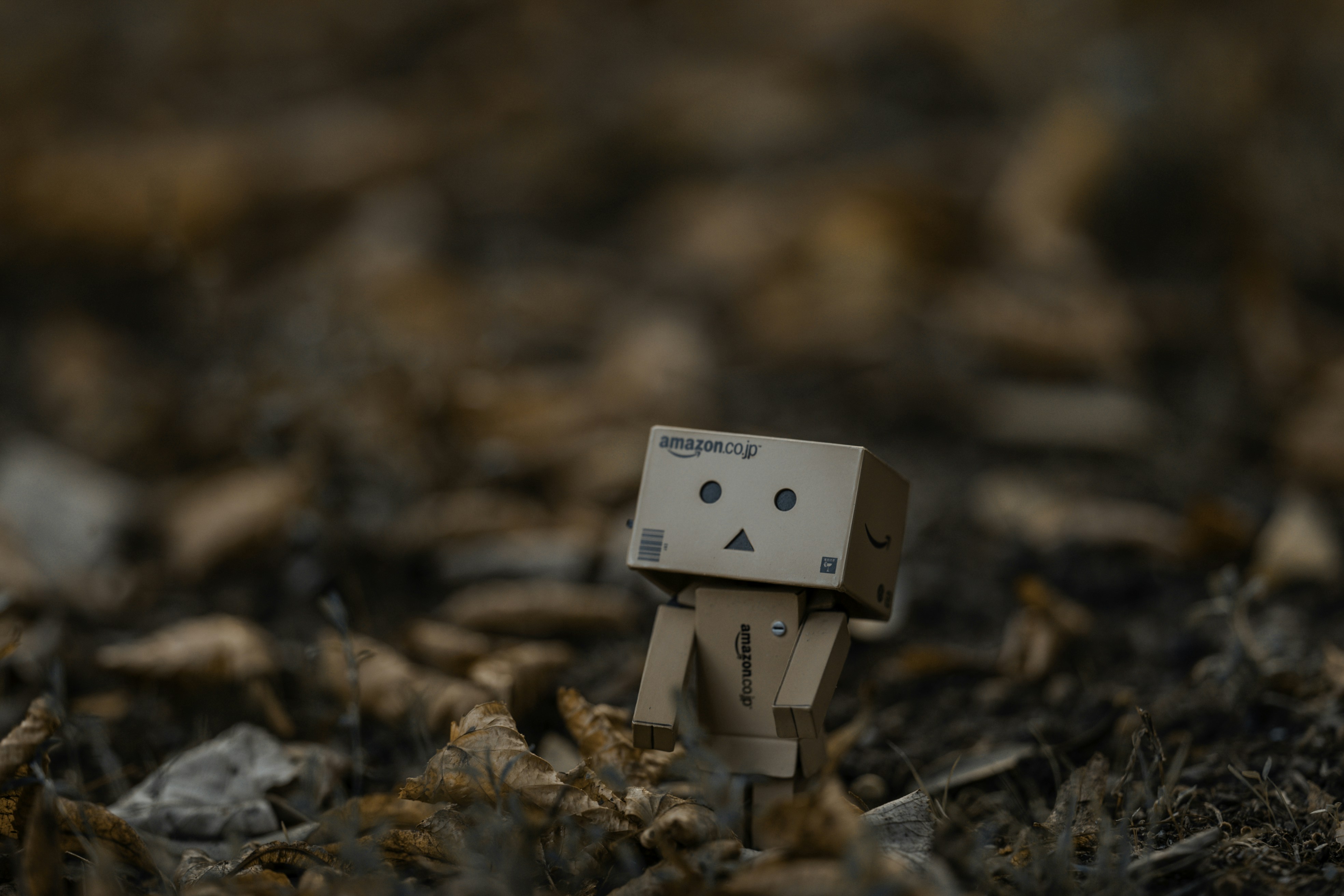 Danbo Among Copper Leaves: A Tiny Portrait in Dappled Autumn Light