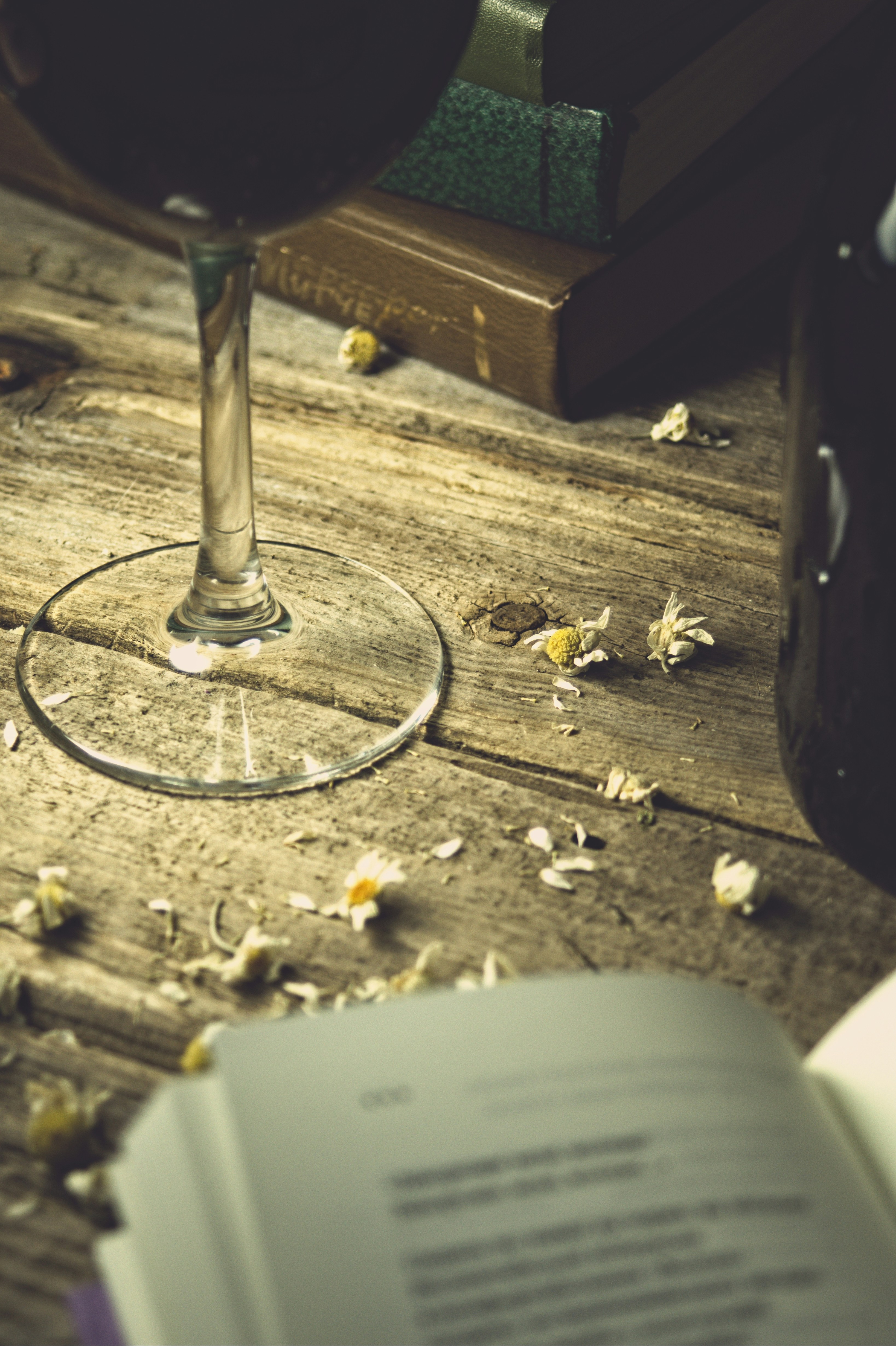 A Quiet Still-Life: Stemmed Glass and Open Book on Weathered Wood