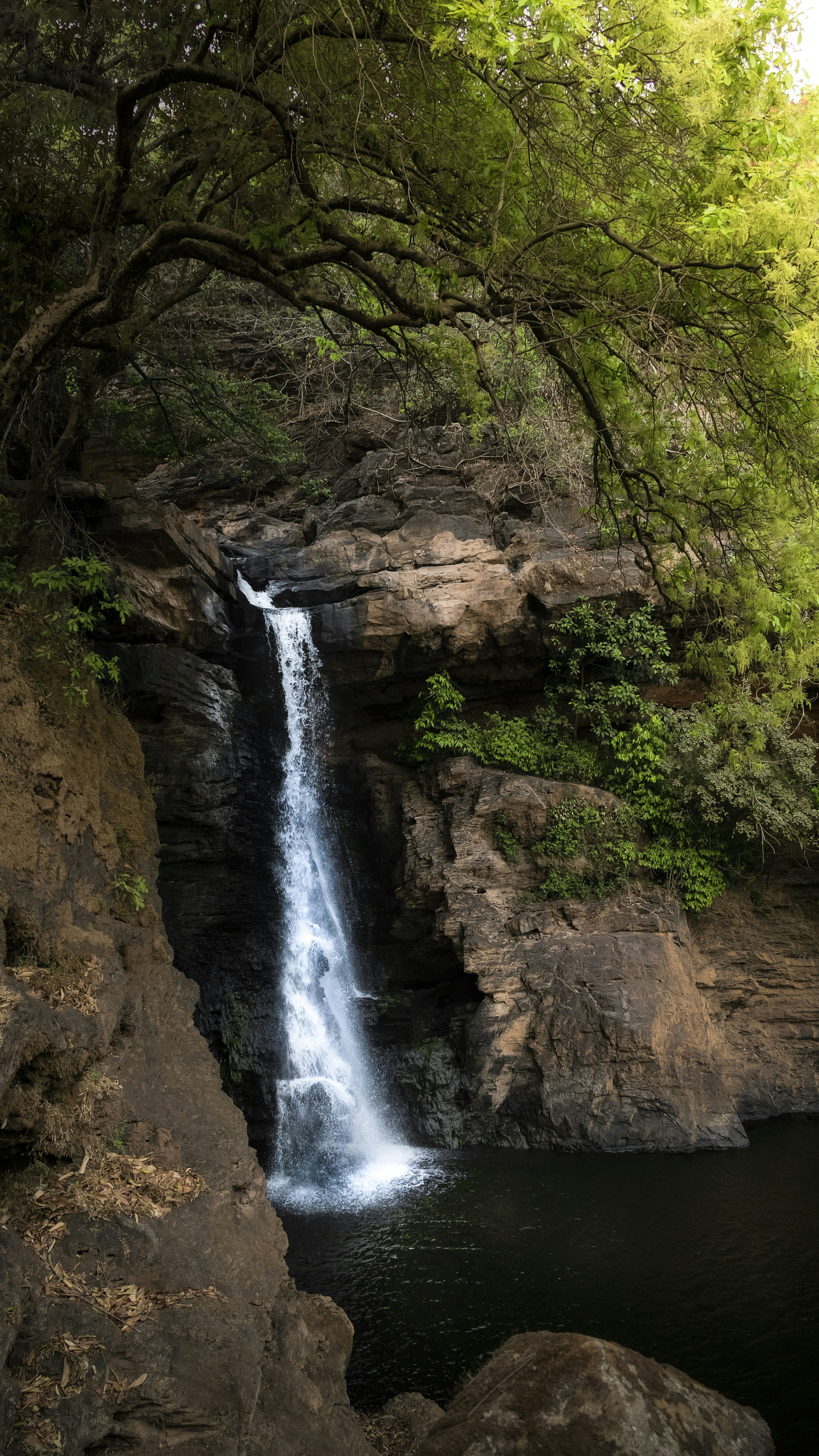 Small Waterfall in the forest.