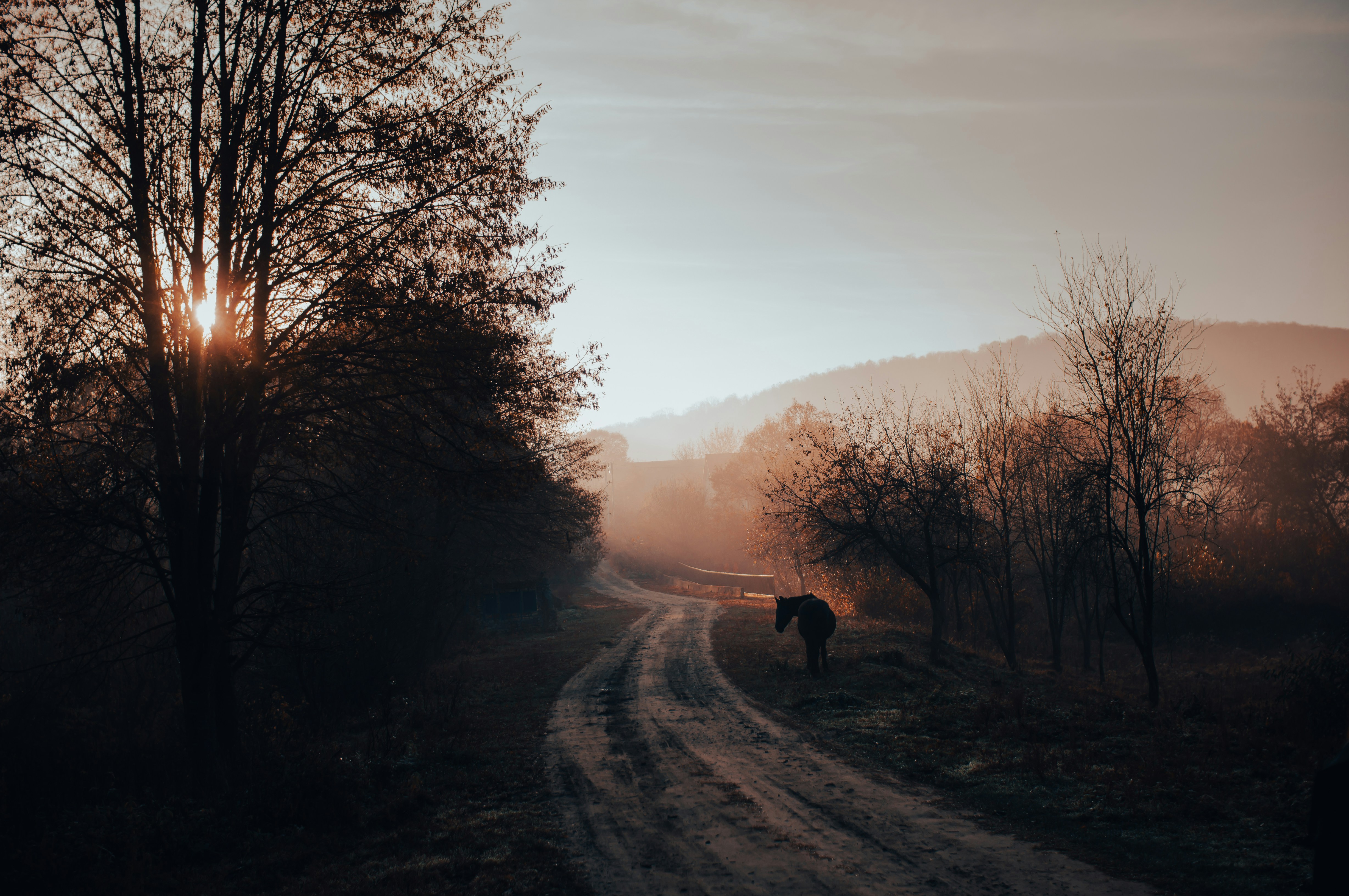 Twilight Silhouette on a Winding Dirt Road
