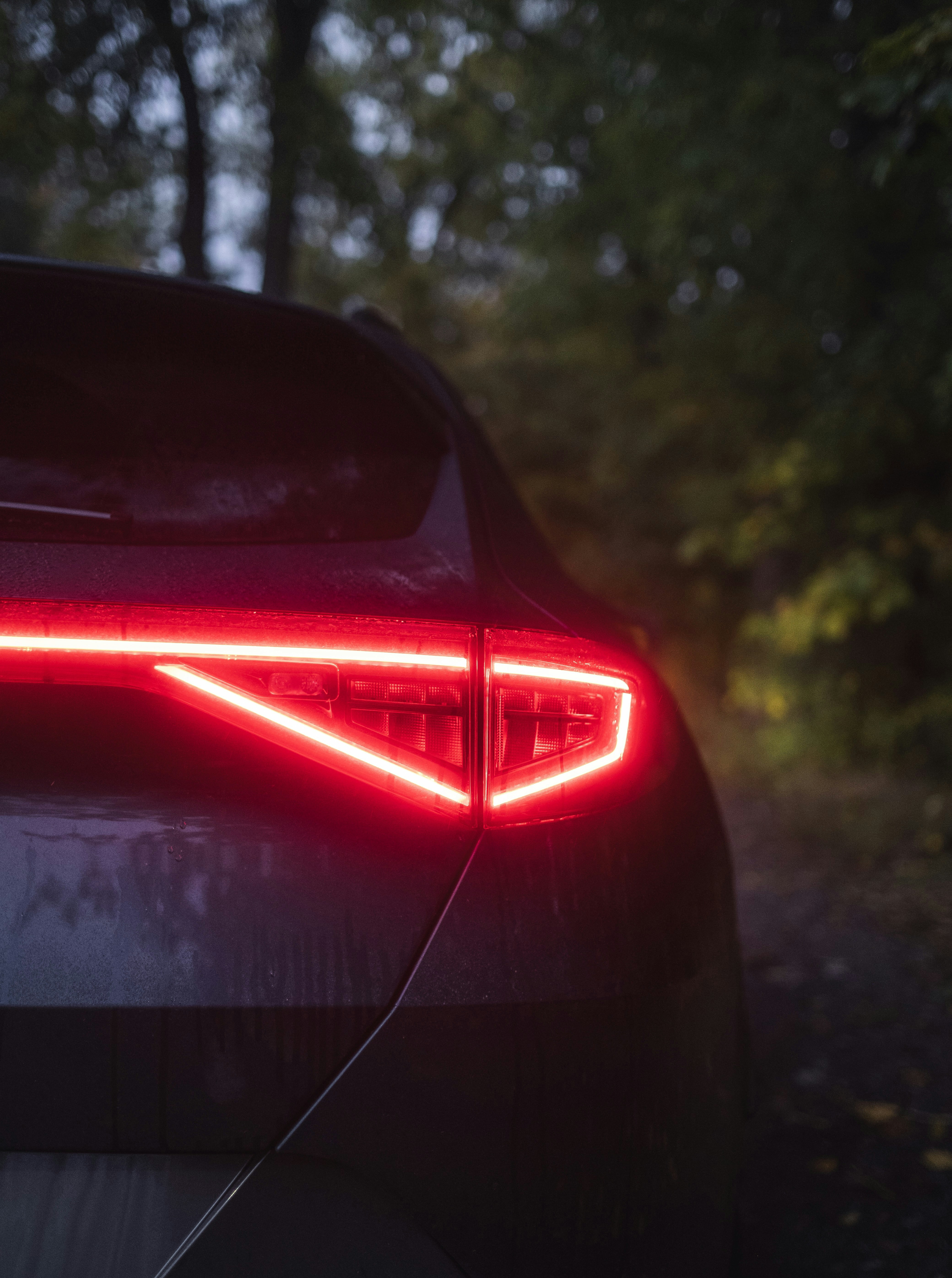 Crimson Tail Light Geometry Against a Quiet Forest Dusk