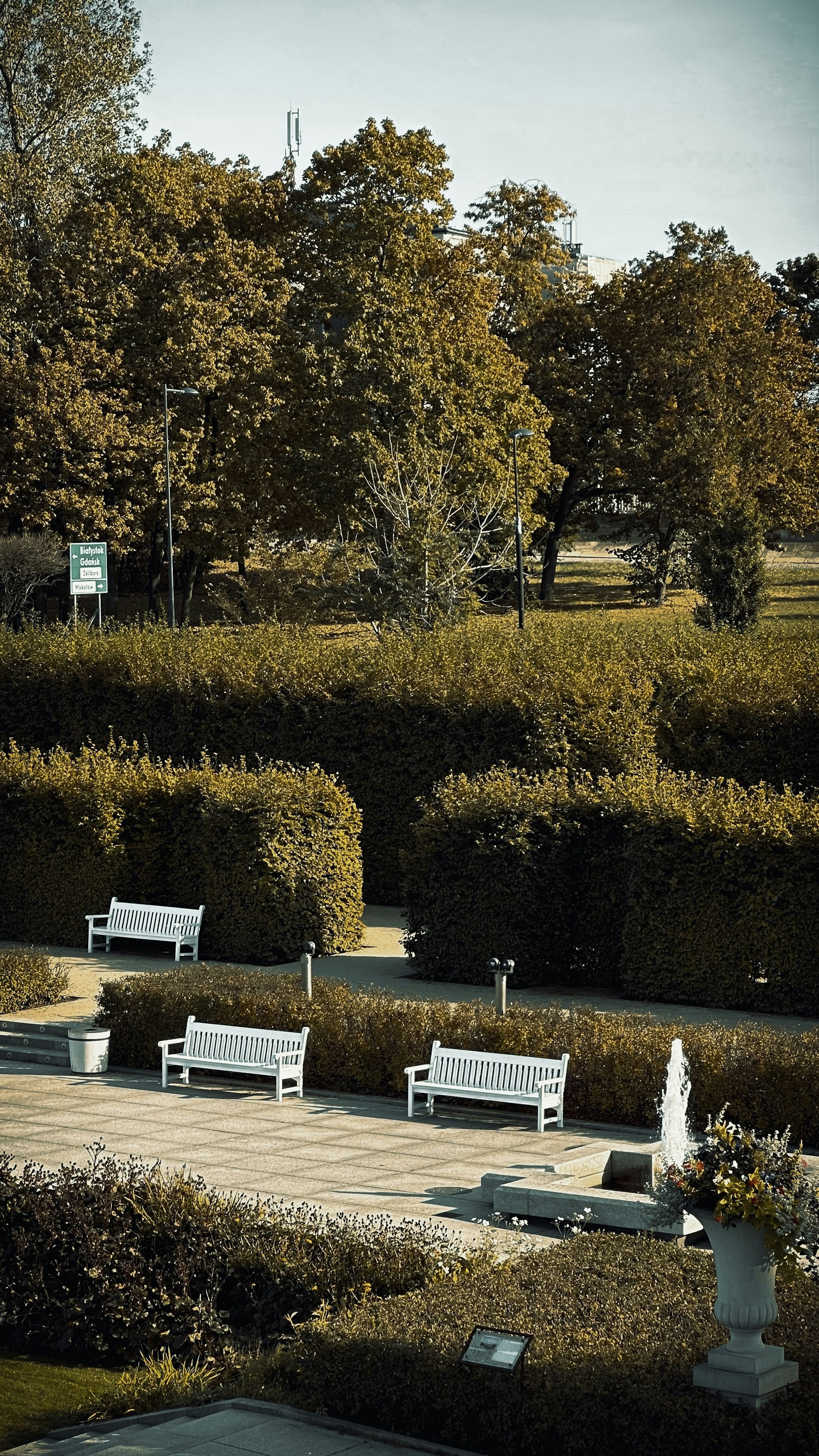 Quiet Park Afternoon: Symmetry of Benches and Fountain