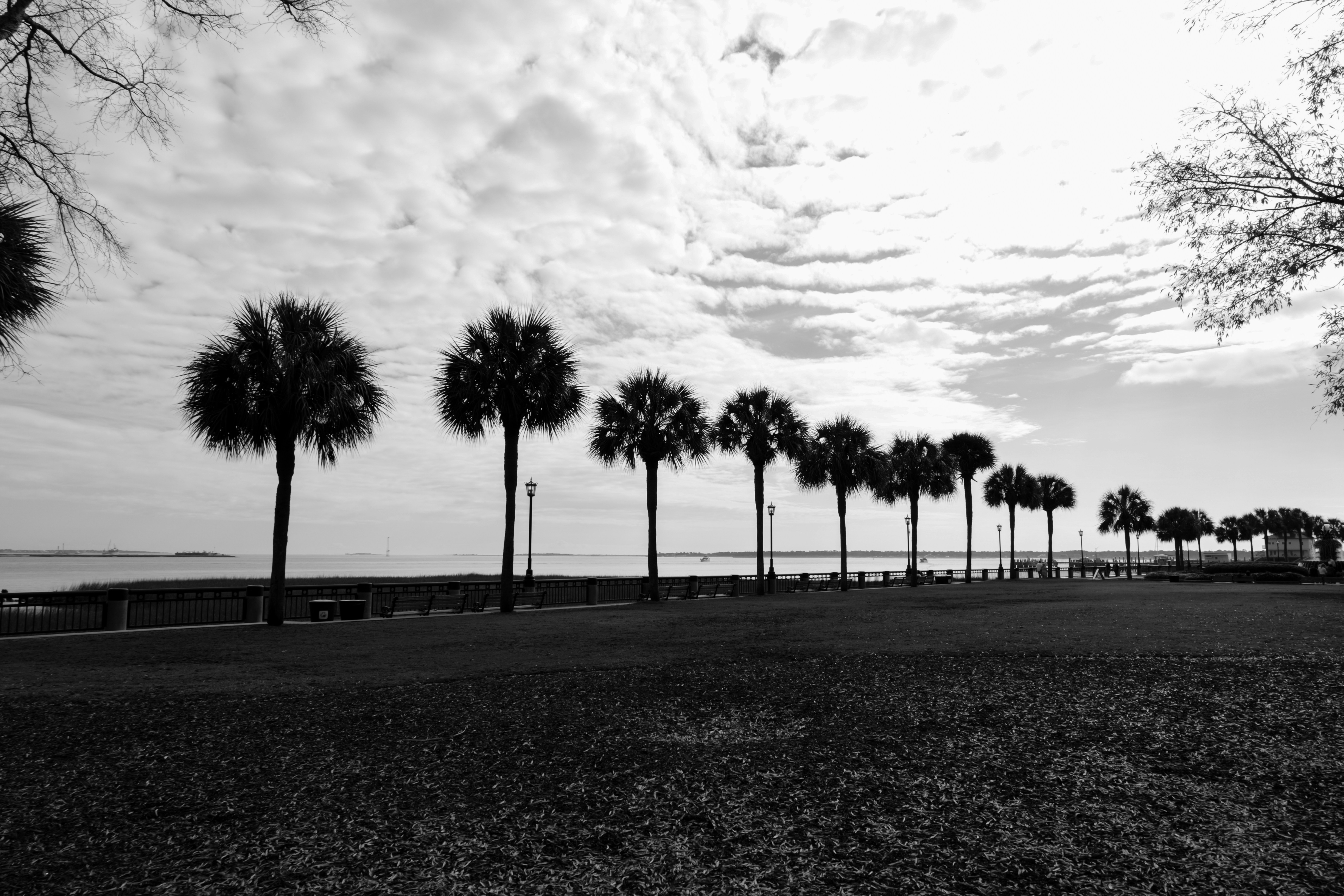 Photo by Rosemary Media with Canon EOS RP