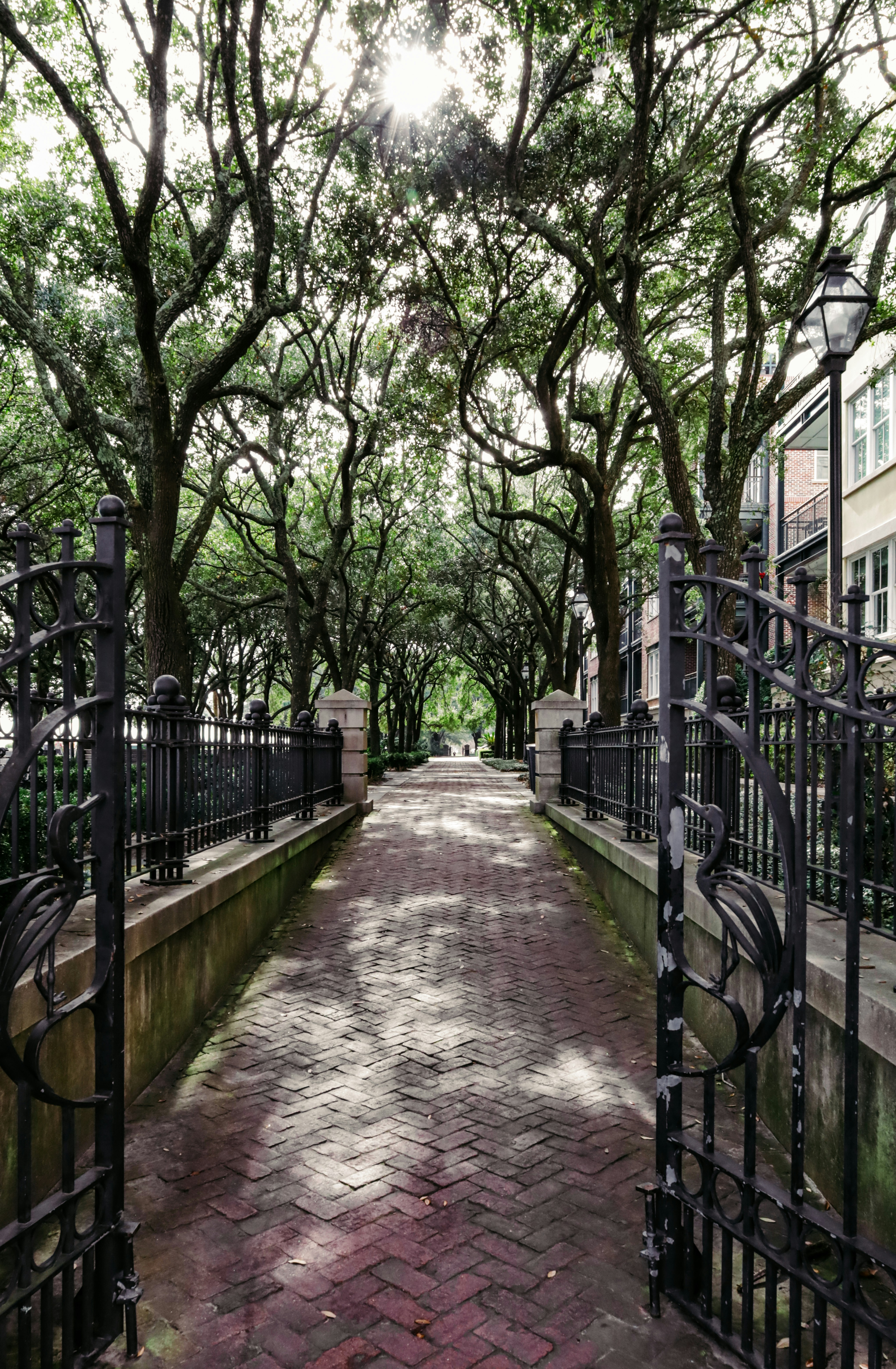 Sunlit Canopy Corridor: Brick Path Through Wrought-Iron Gates