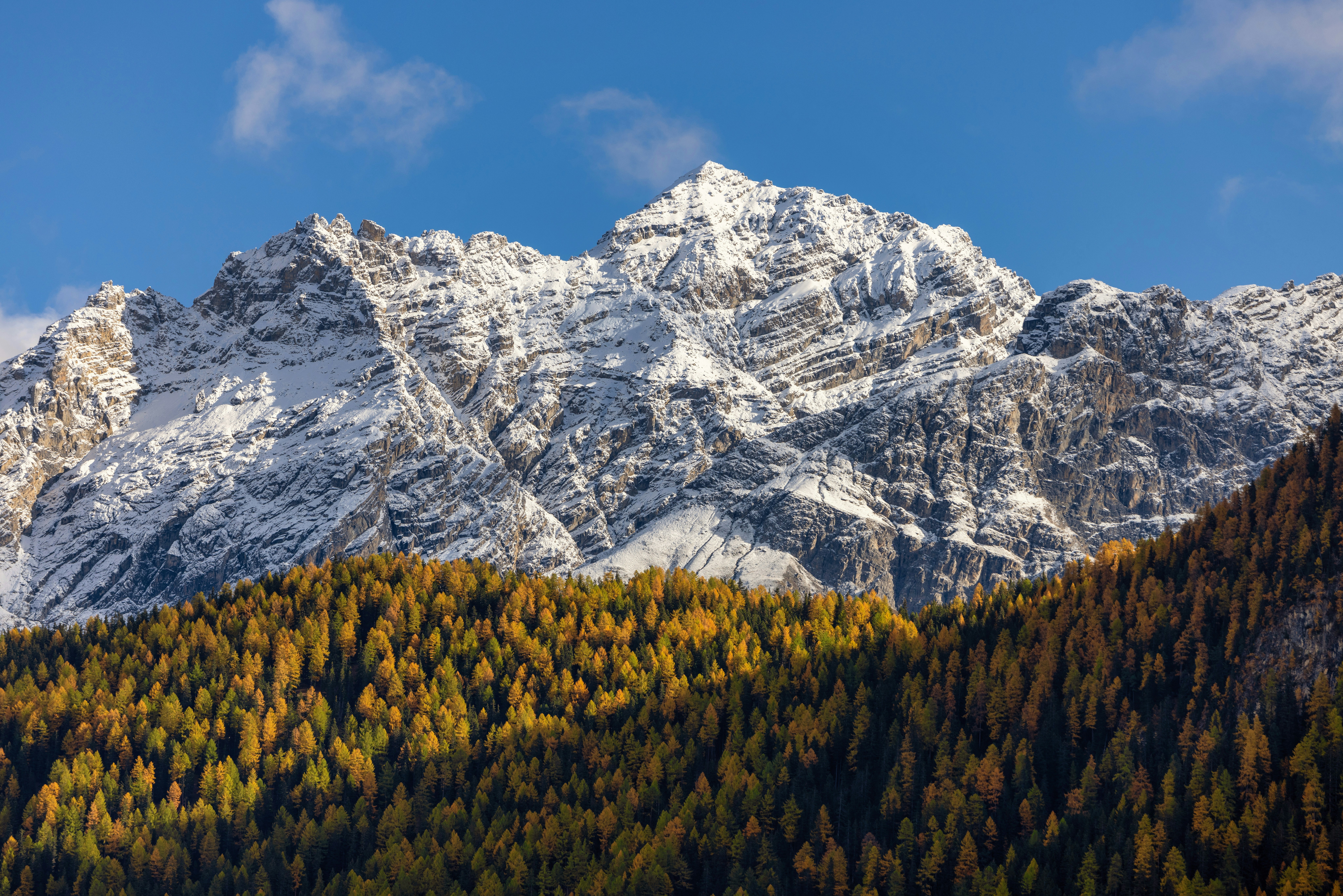 A mountain range covered in snow and trees photo – Free Switzerland ...