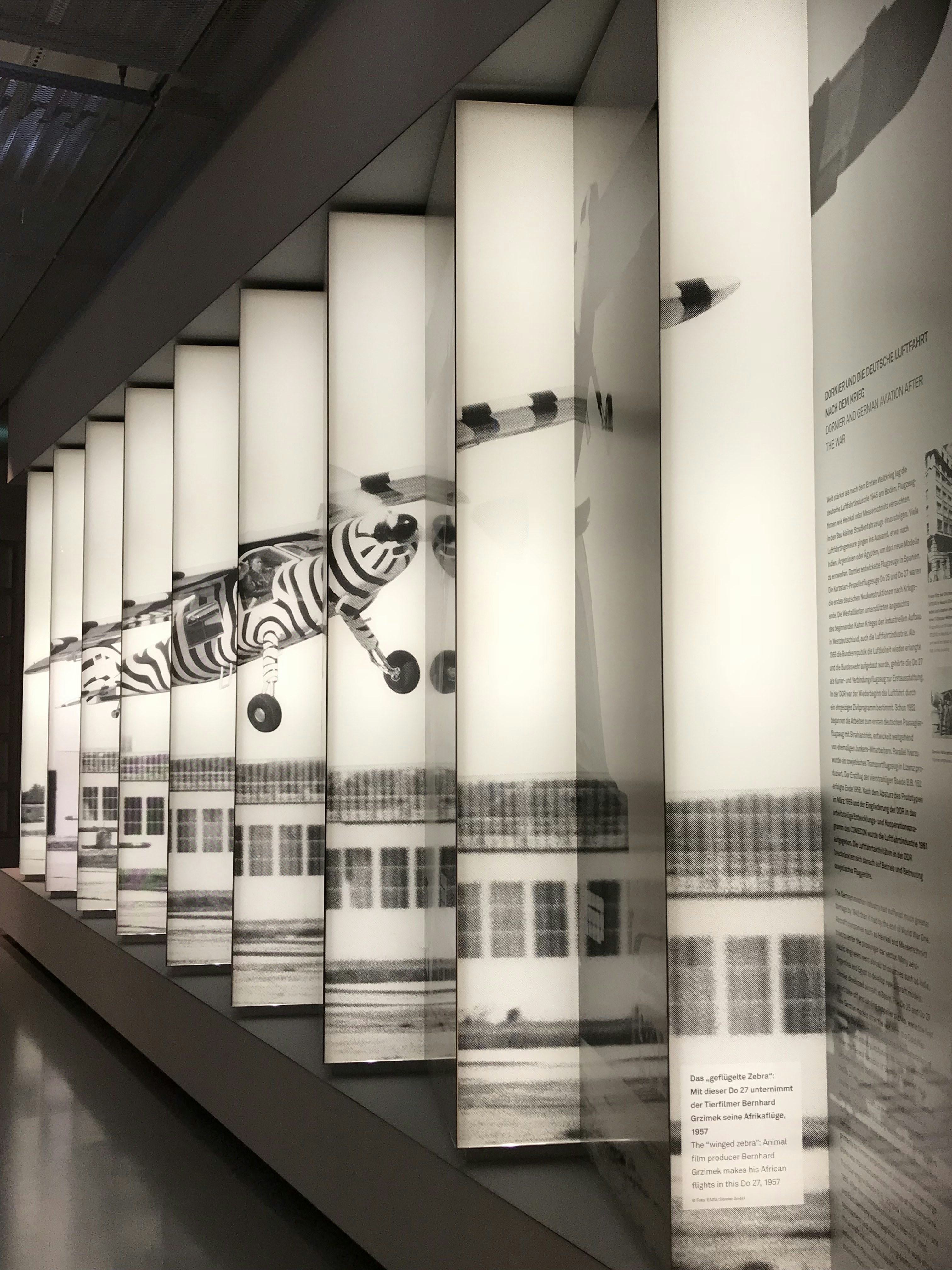 A display of zebras in a building photo – Free Building Image on Unsplash