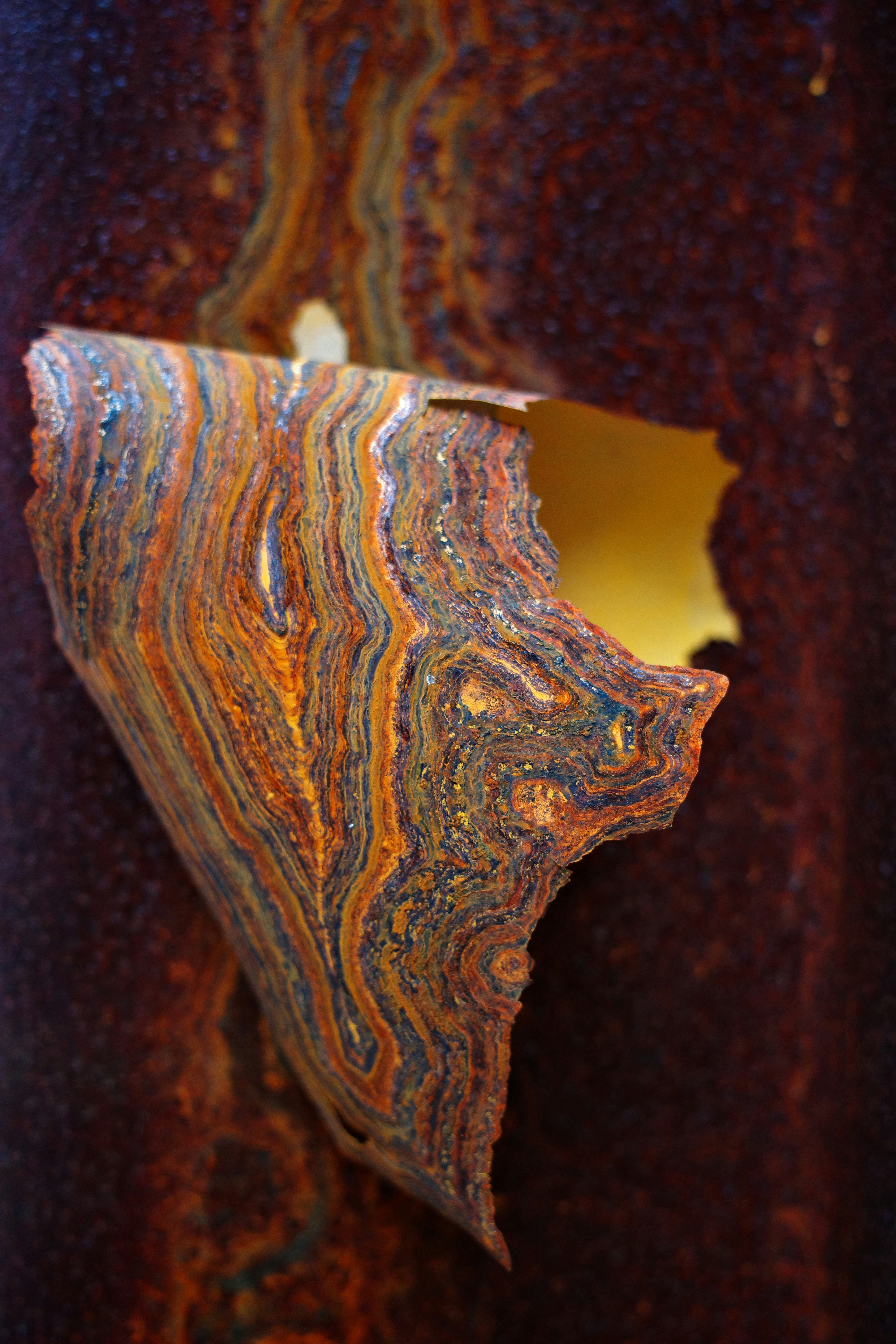 Rings of Rust: a peeled fragment of color on weathered steel