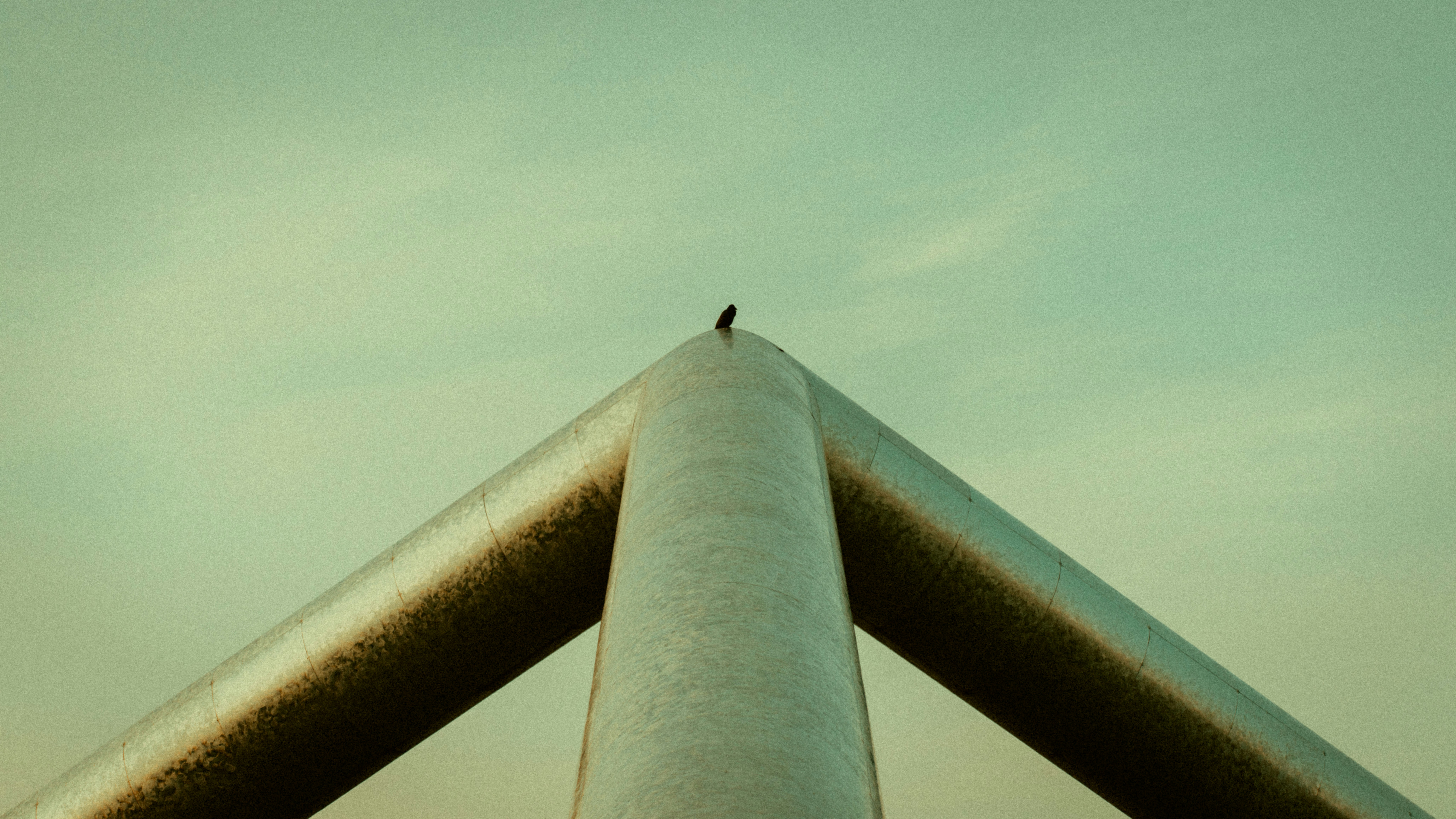 a bird sitting on top of a metal pole