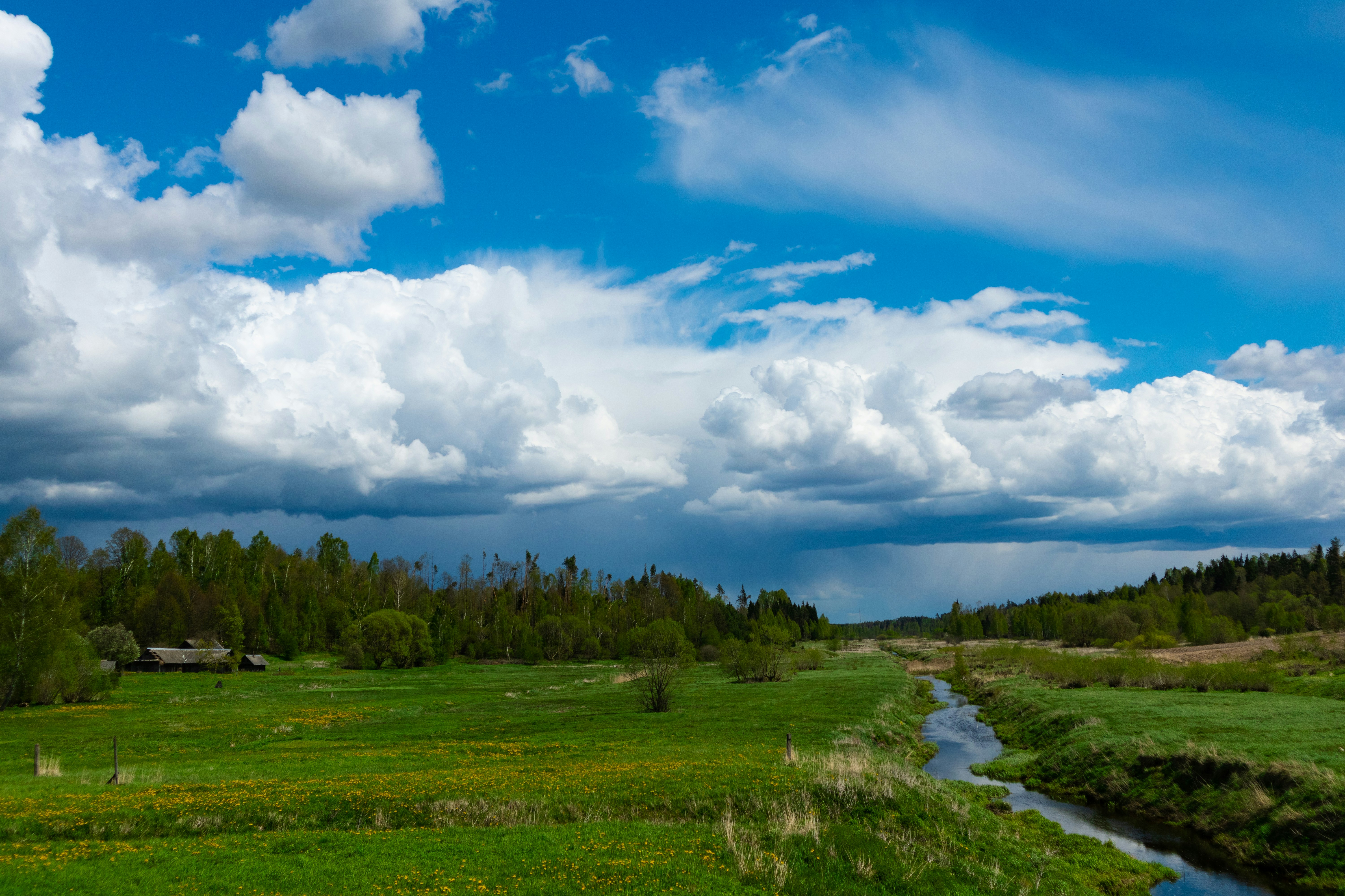 Meandering Creek Through a Spring Meadow Under a Vast Sky