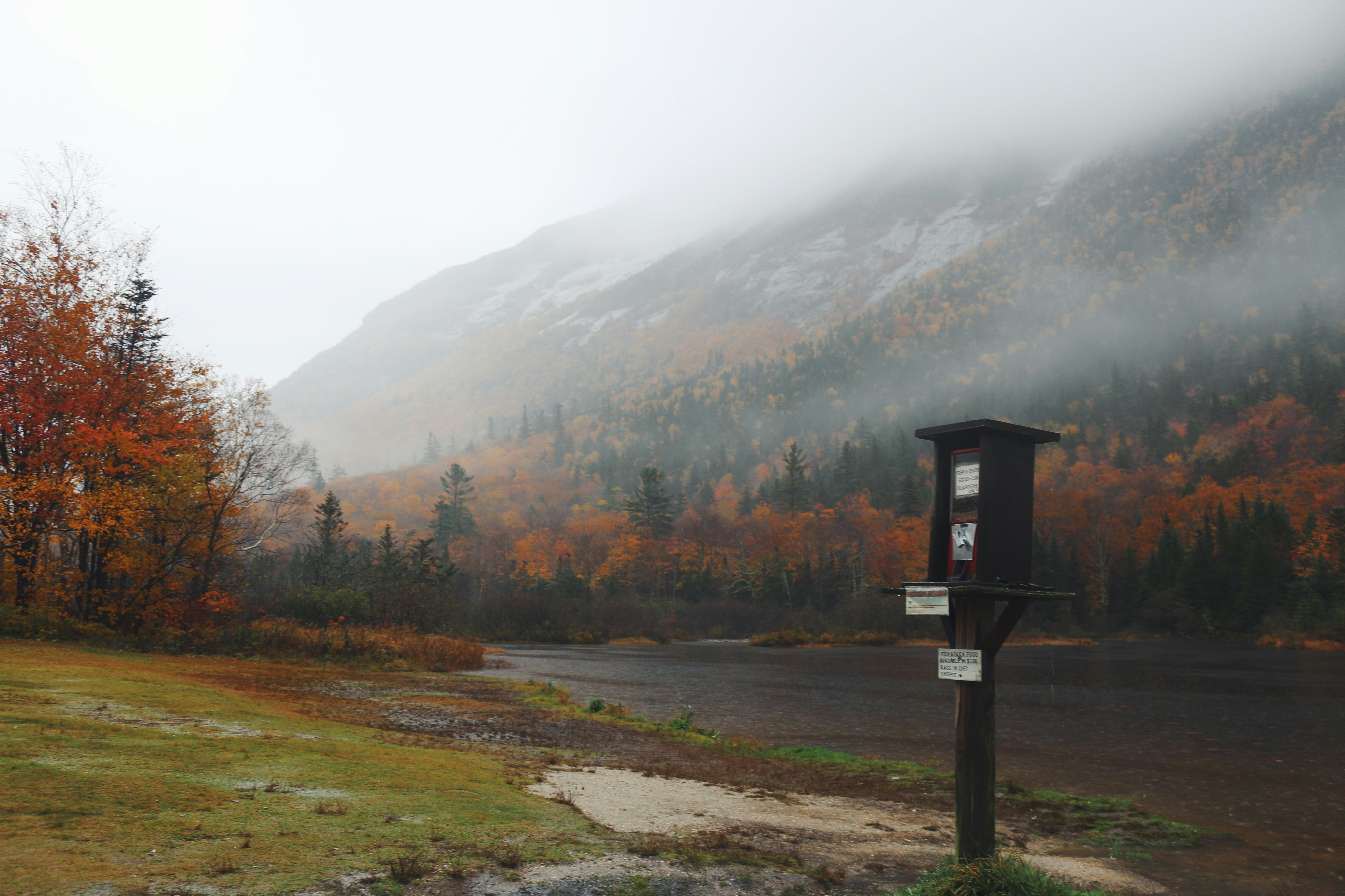 Mist over the Fall Gorge: A Lonely Noticeboard Standing Guard