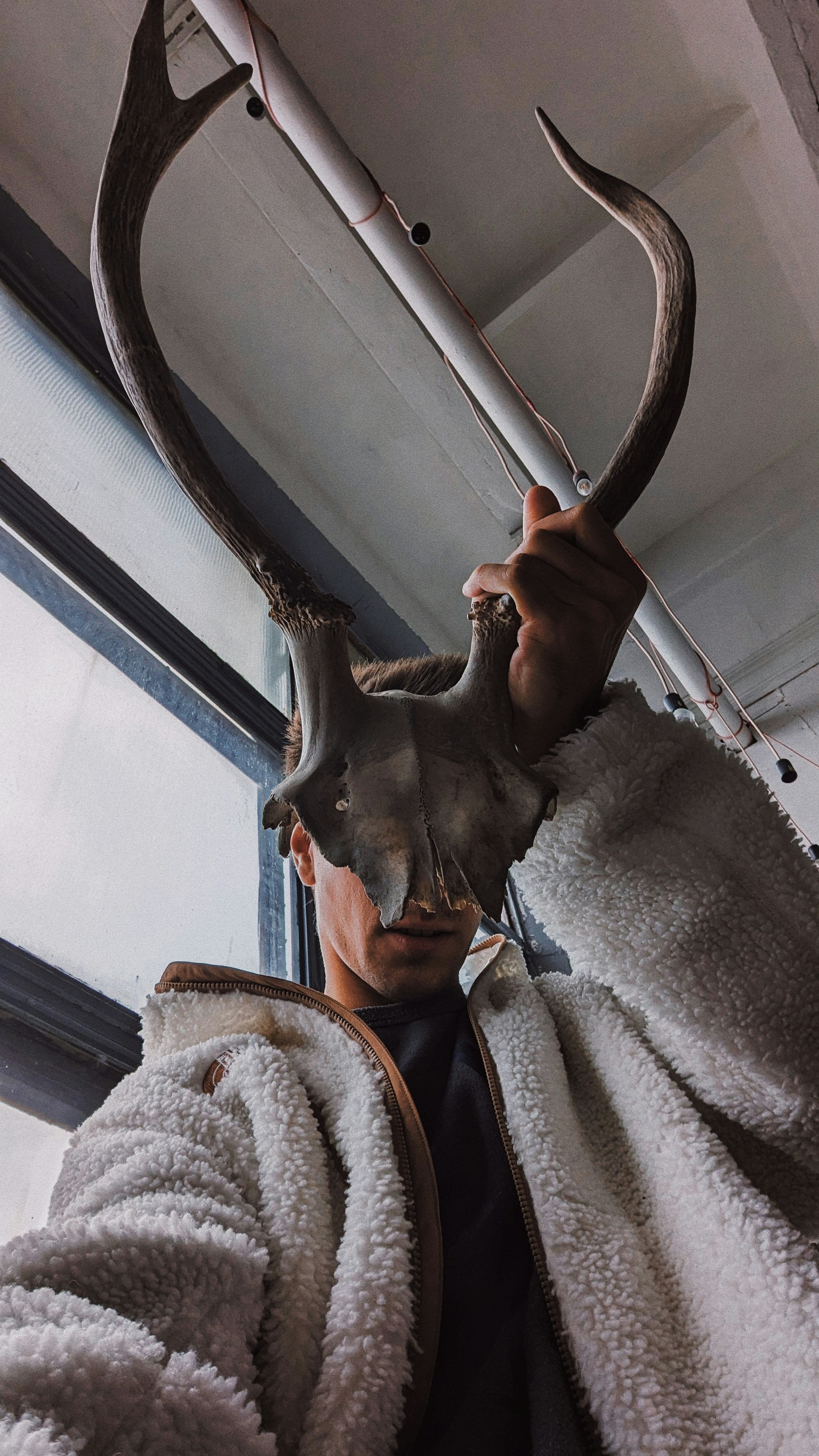 Antlered Mask: A Quiet Portrait Through a Deer Skull