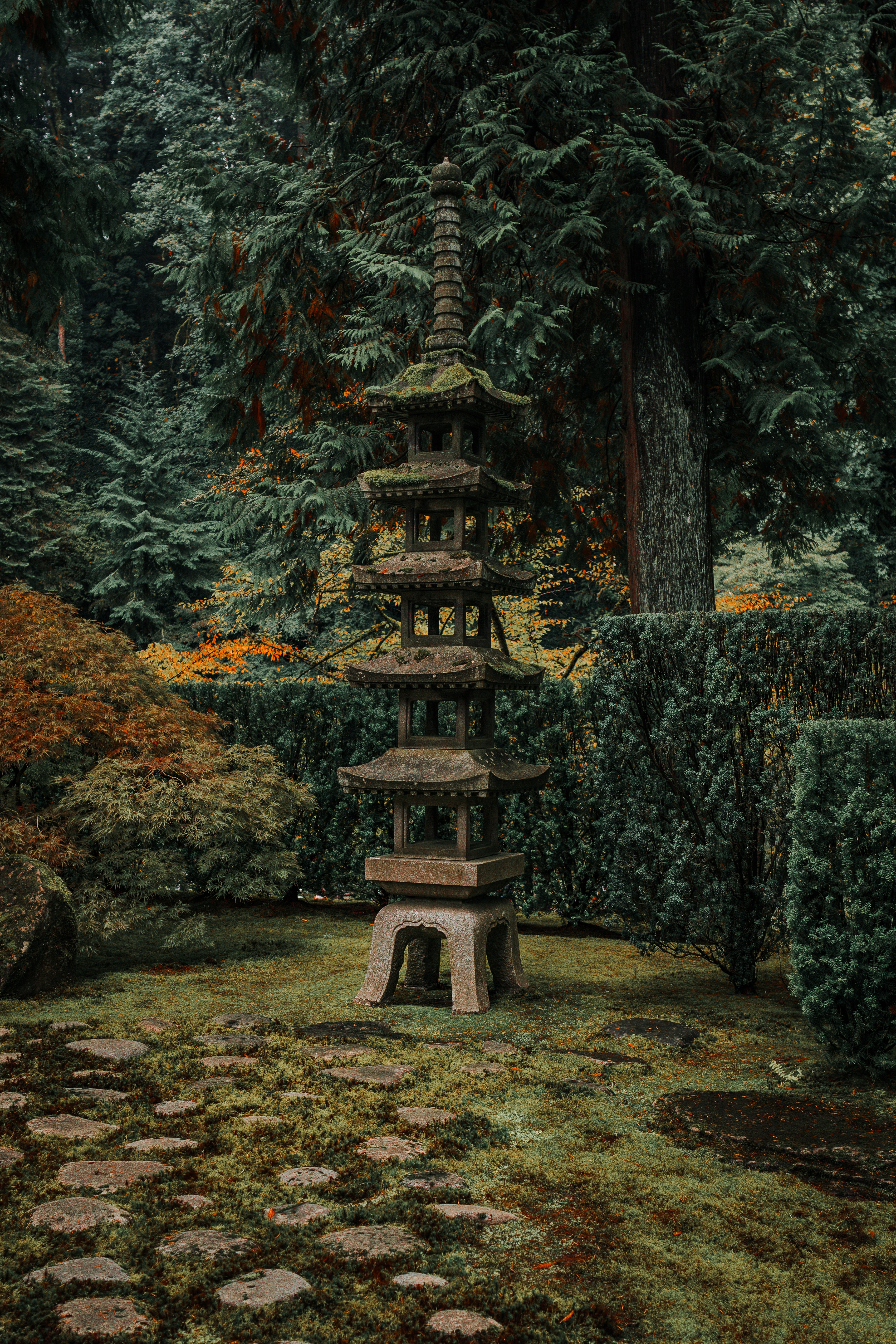 Sentinel in Moss: A Five-Tier Pagoda Amid an Autumn Japanese Garden
