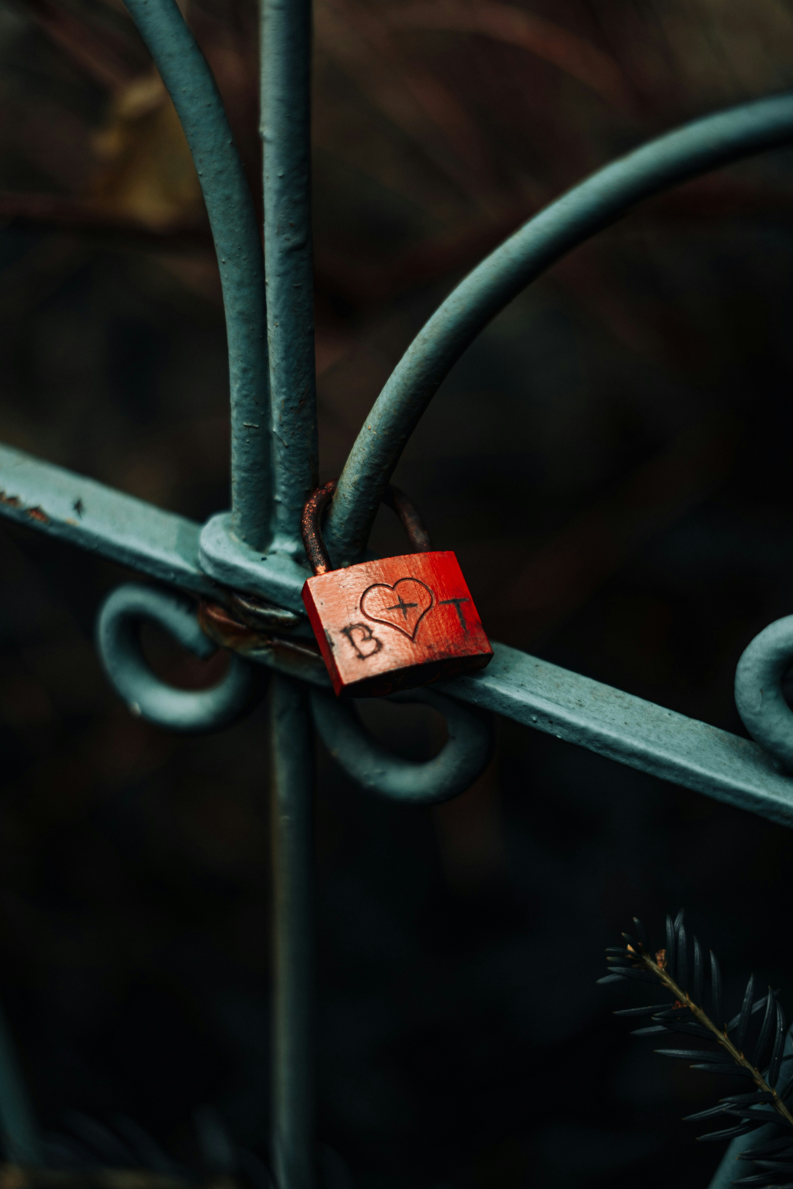 A padlock on a gate with a tree in the background photo – Free Brown ...