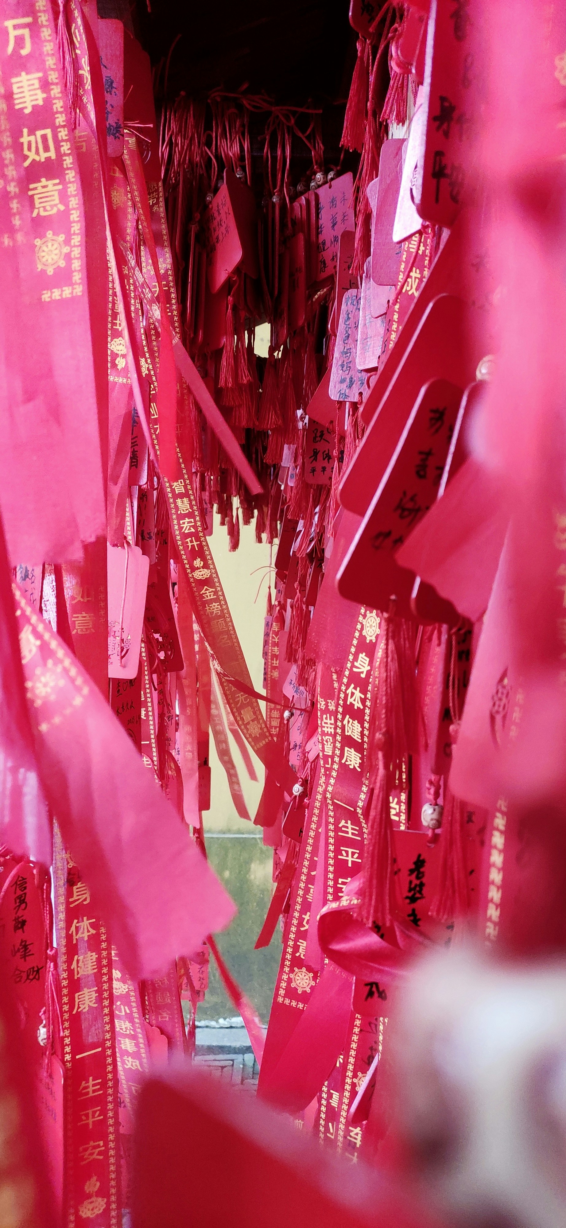 A bunch of pink ribbons hanging from a ceiling photo – Free Mobile ...