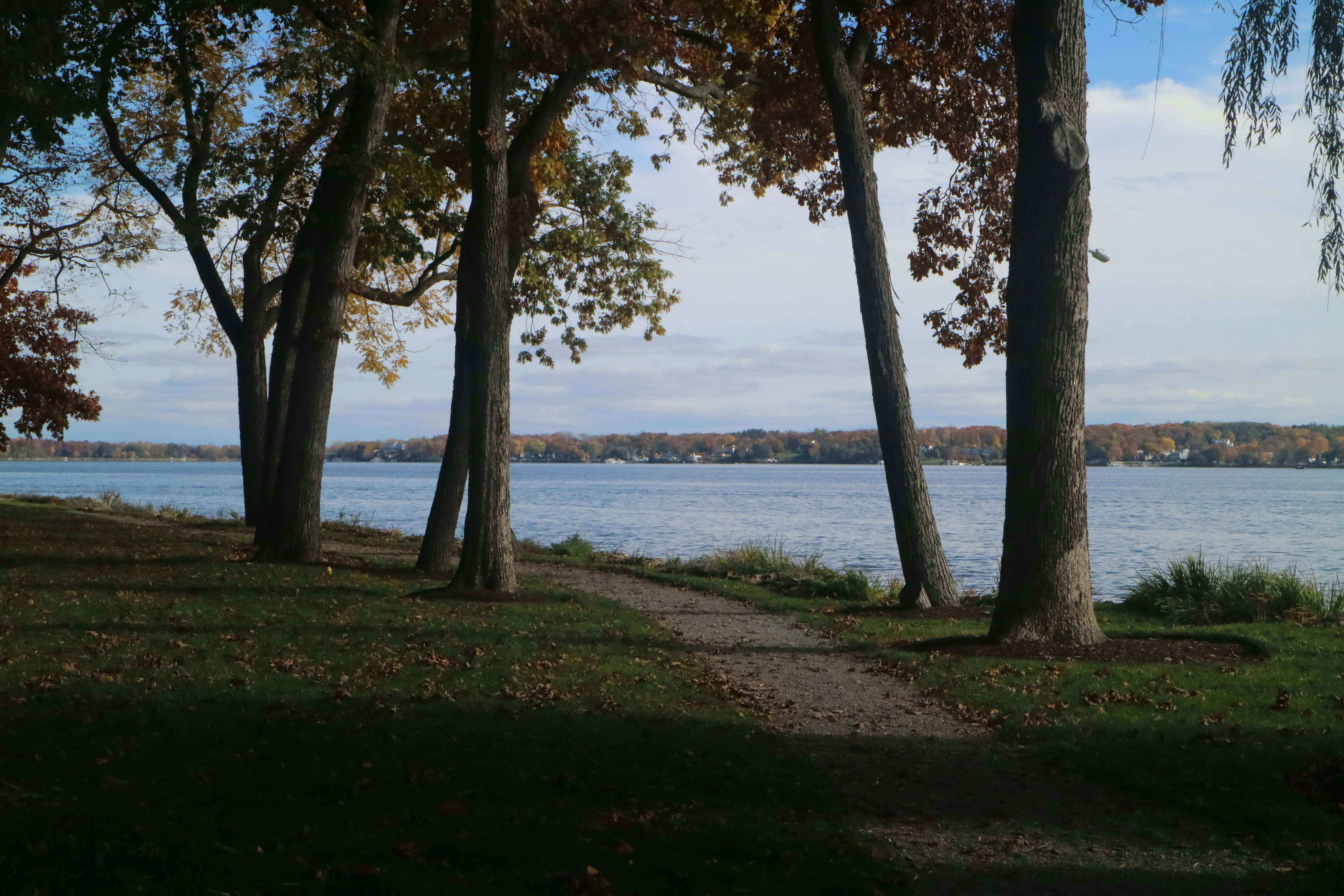 A path between two trees next to a body of water photo – Free Autumn ...