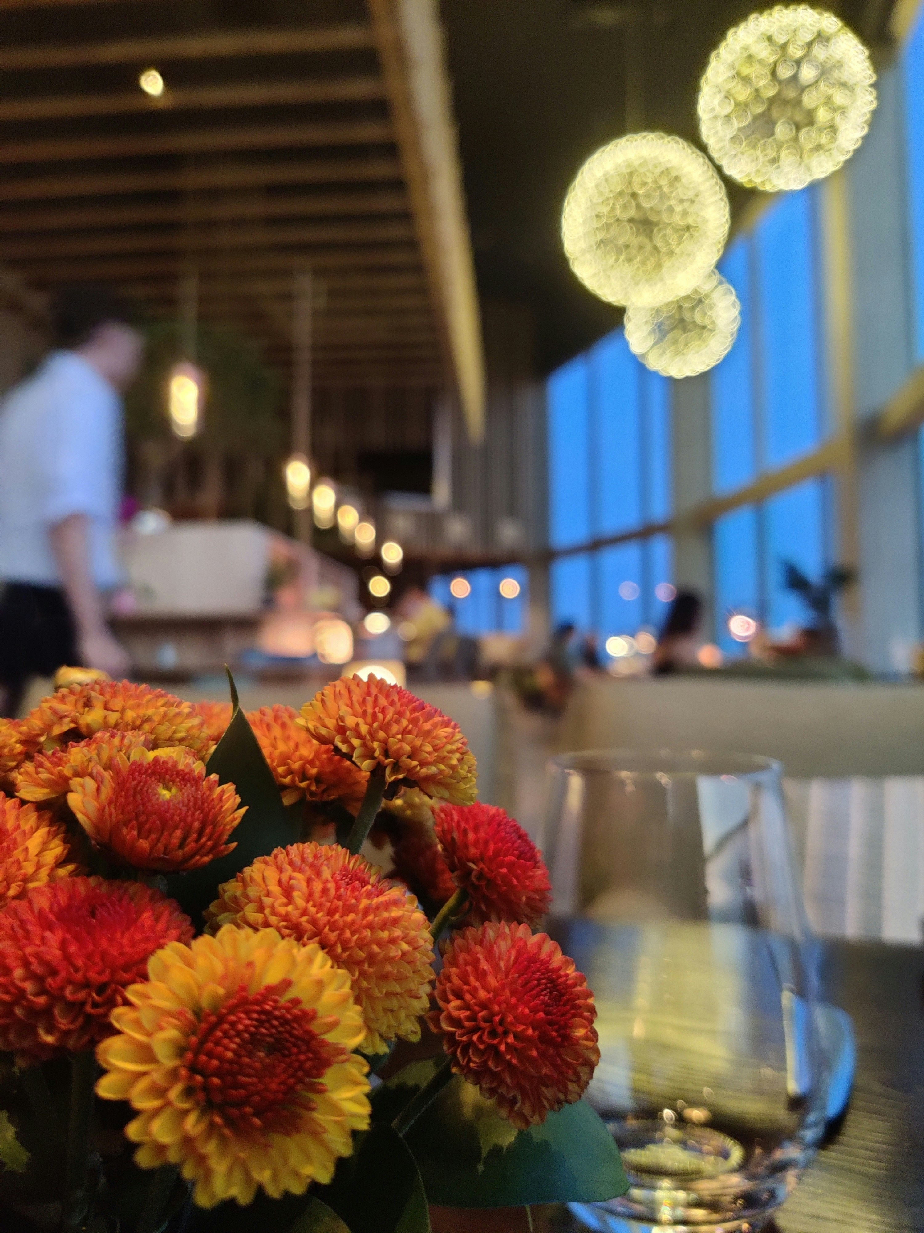 Vibrant orange flowers in a restaurant setting with warm lighting and blurred background.