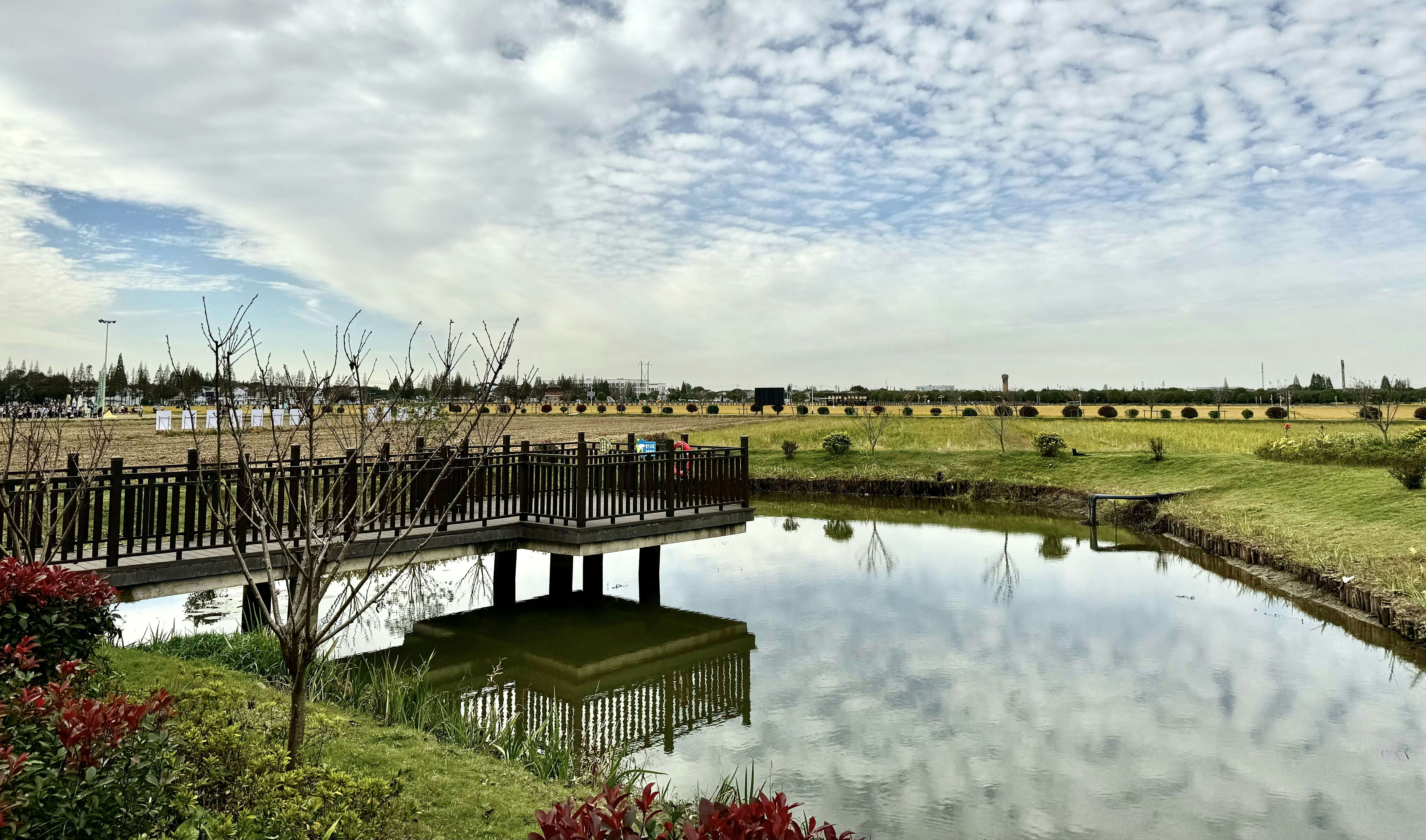 Bridge Over a Calm Park Pond under a Sky of Soft Clouds