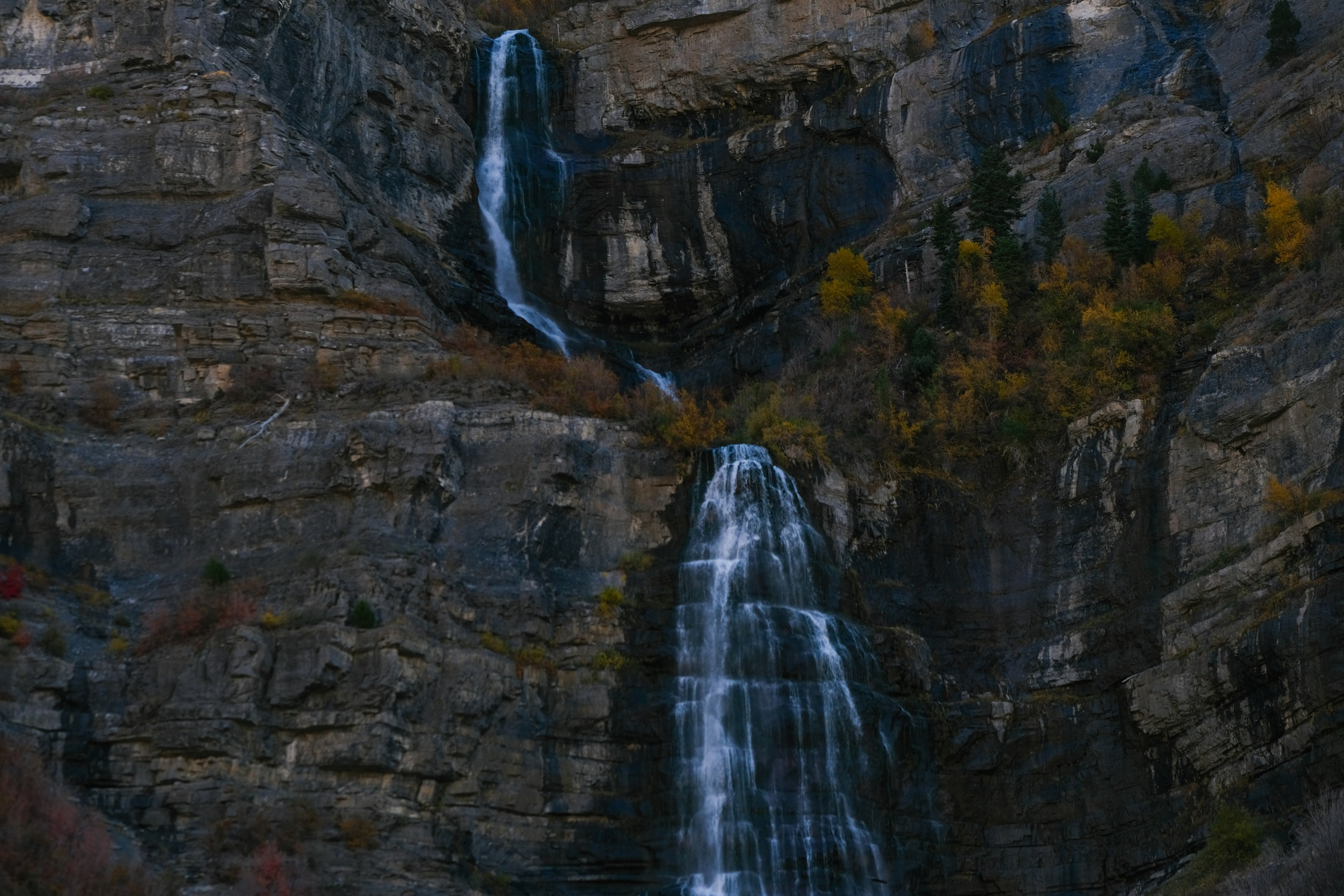 Photo by Sarah Sheedy with Fujifilm X-T3