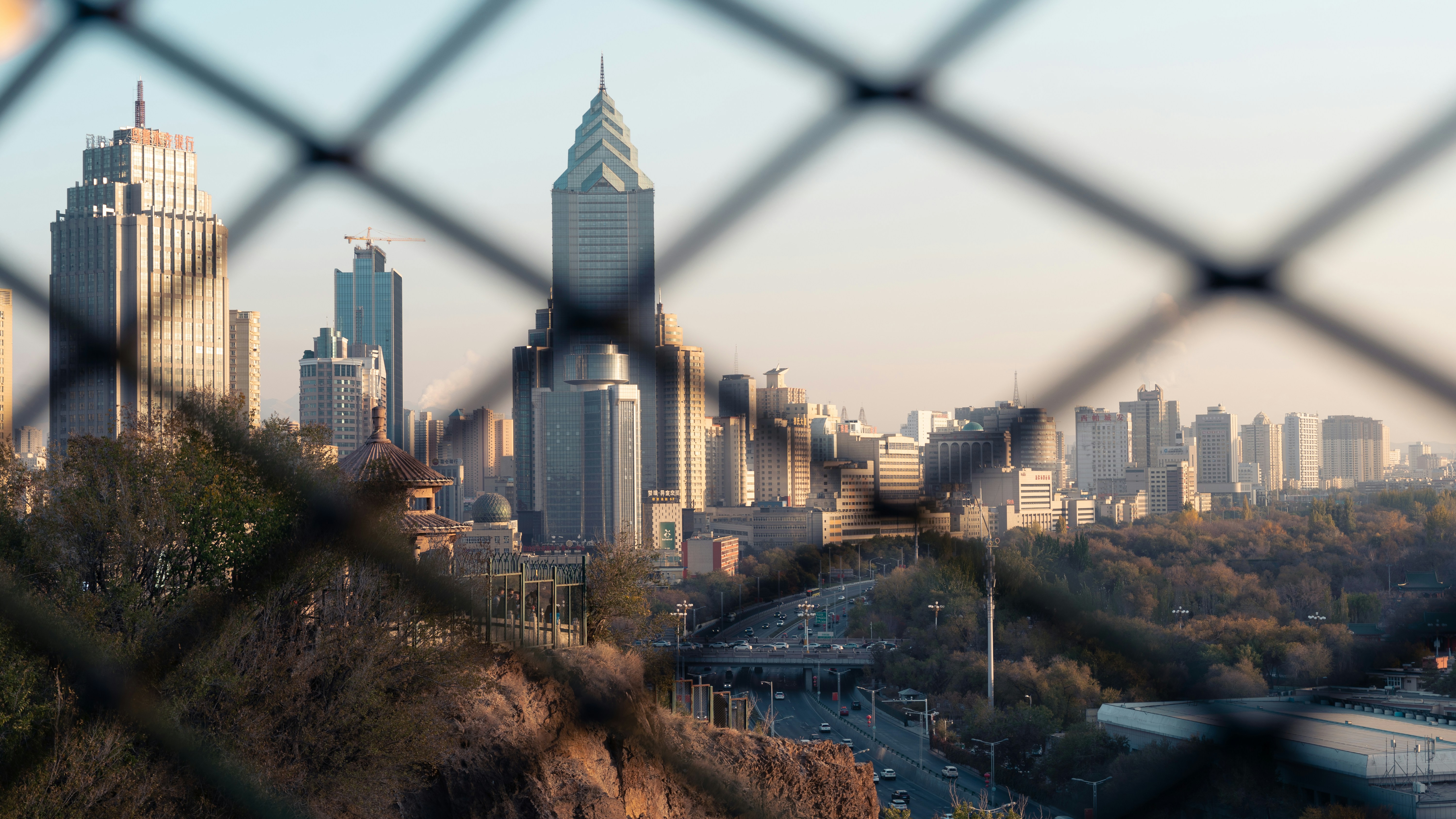 Mesh Frame, Skyward Giants: Dawn City Through Chain-Link