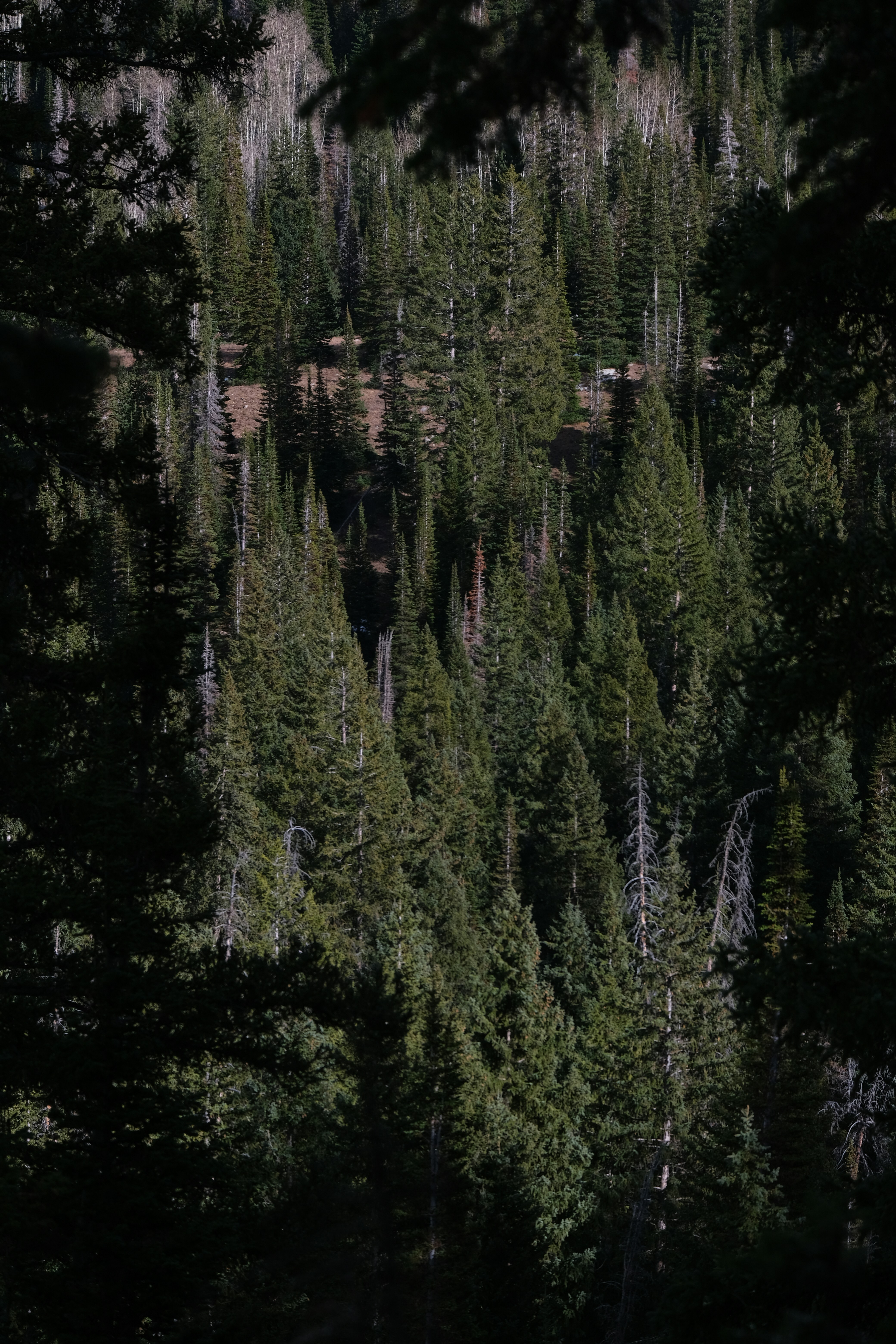 Photo by Sarah Sheedy with Fujifilm X-T3