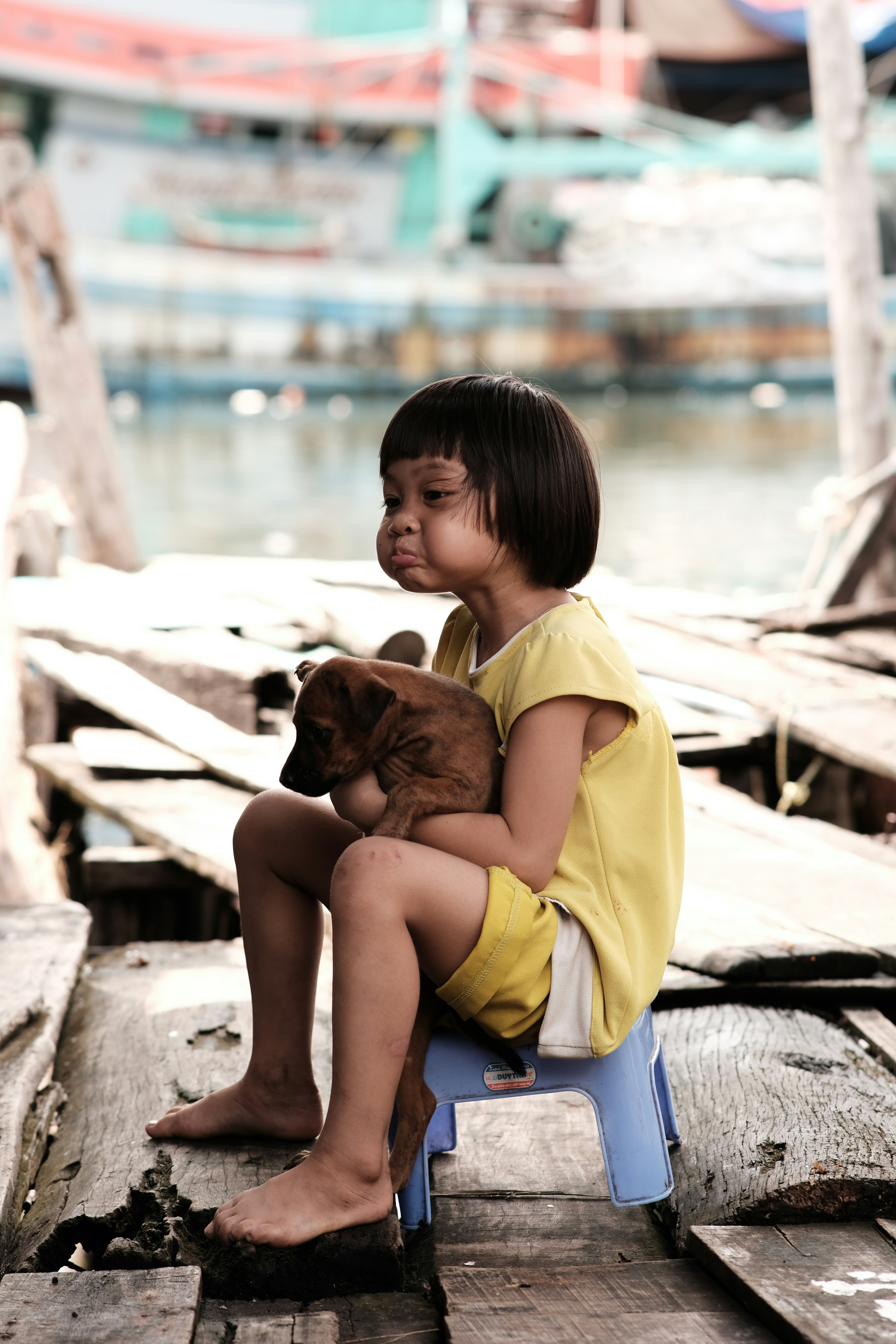 Harbor Quiet: A Young Girl and Her Puppy on a Weathered Dock